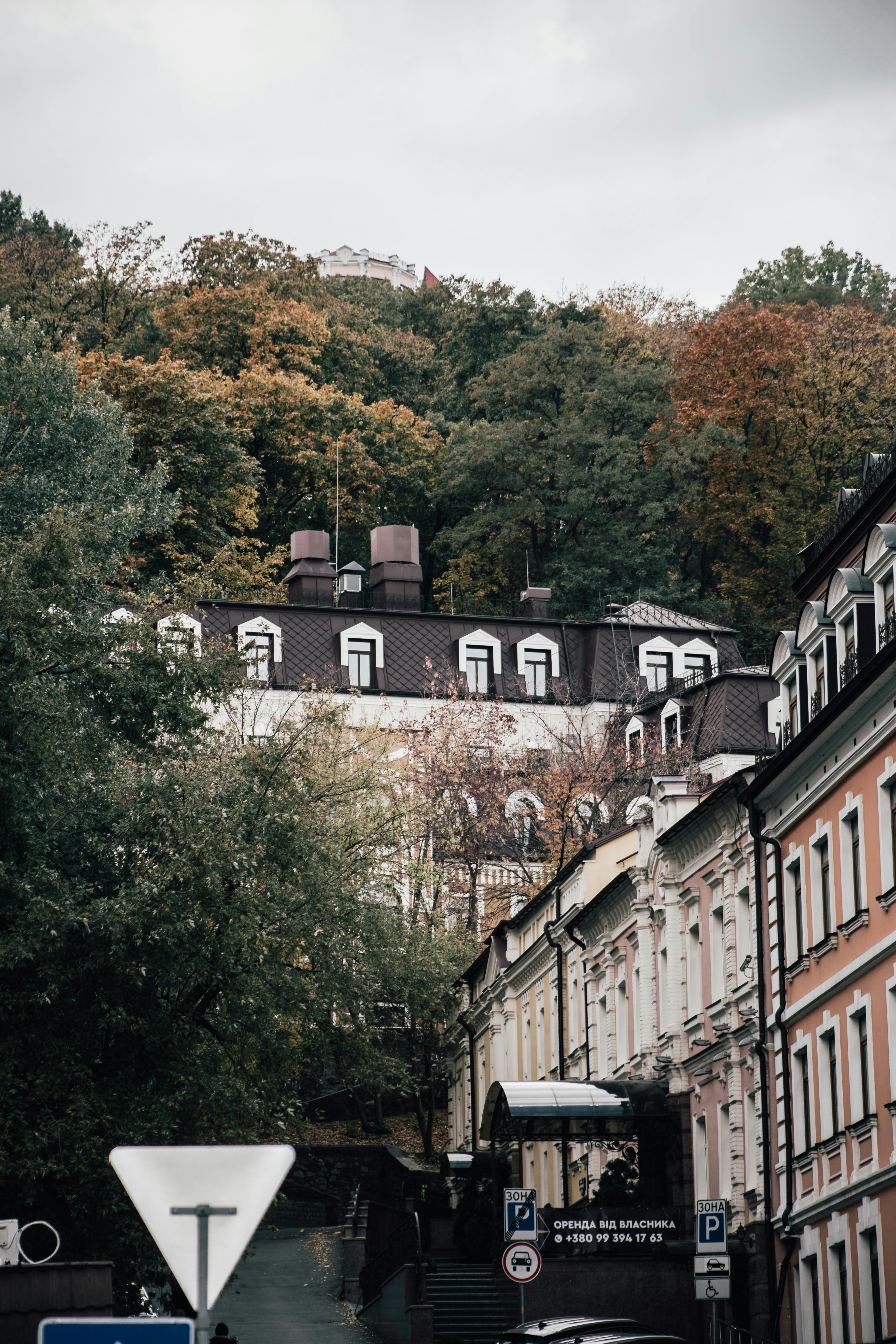 Overcast over Town in Forest · Free Stock Photo