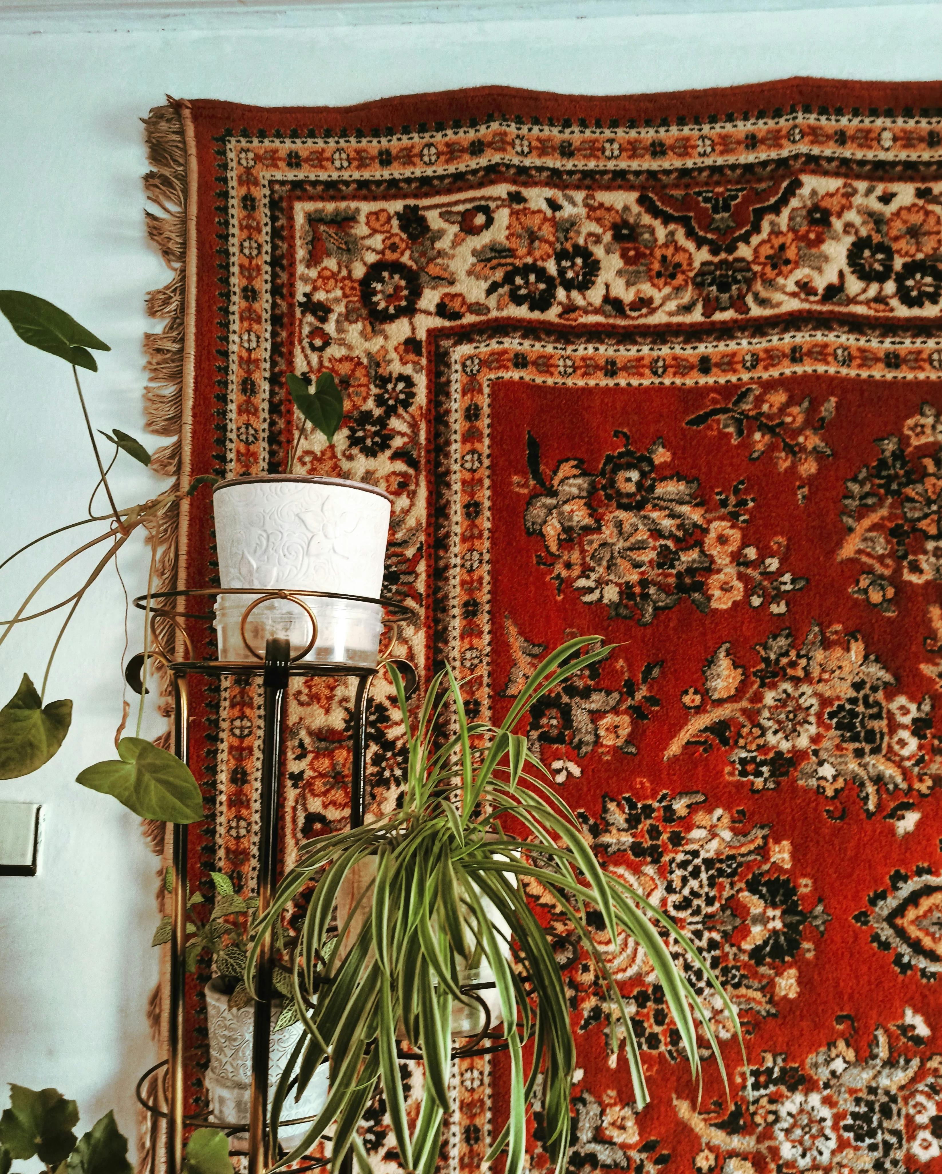 Rug on the Wall · Free Stock Photo