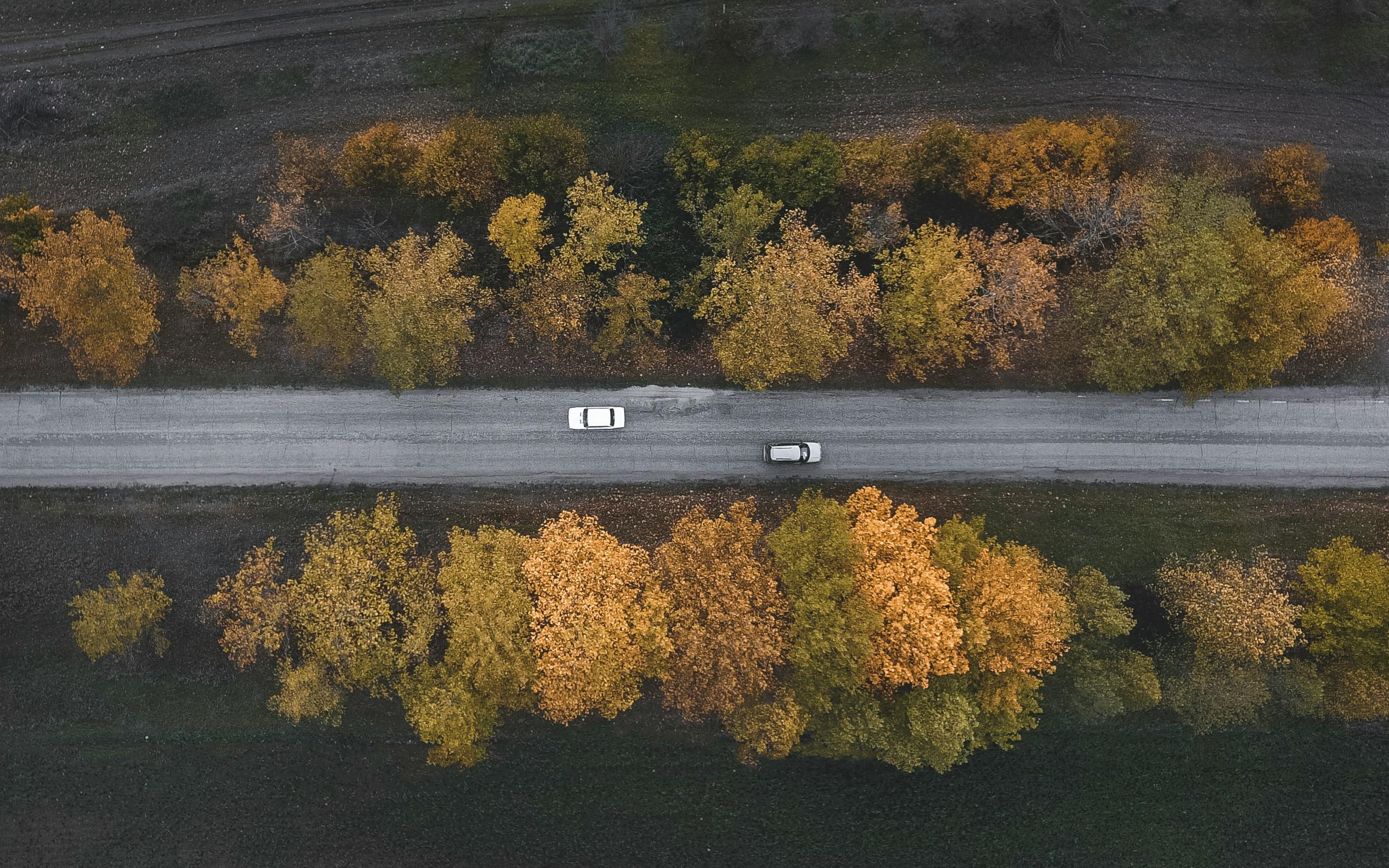 A Road Surrounded by Trees · Free Stock Photo