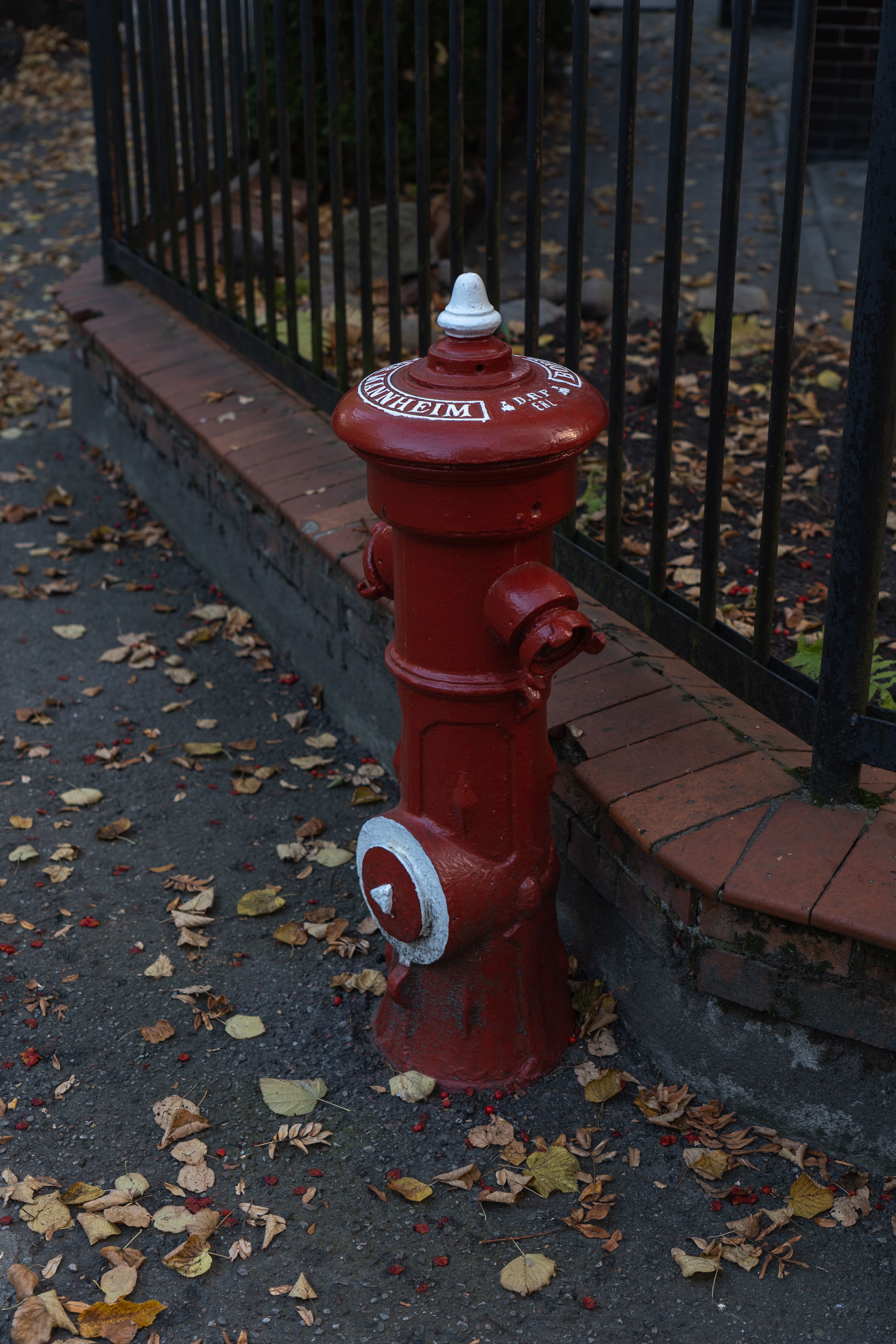 Fire Alarm Between the Extinguisher and the Fire Hydrant Box · Free ...