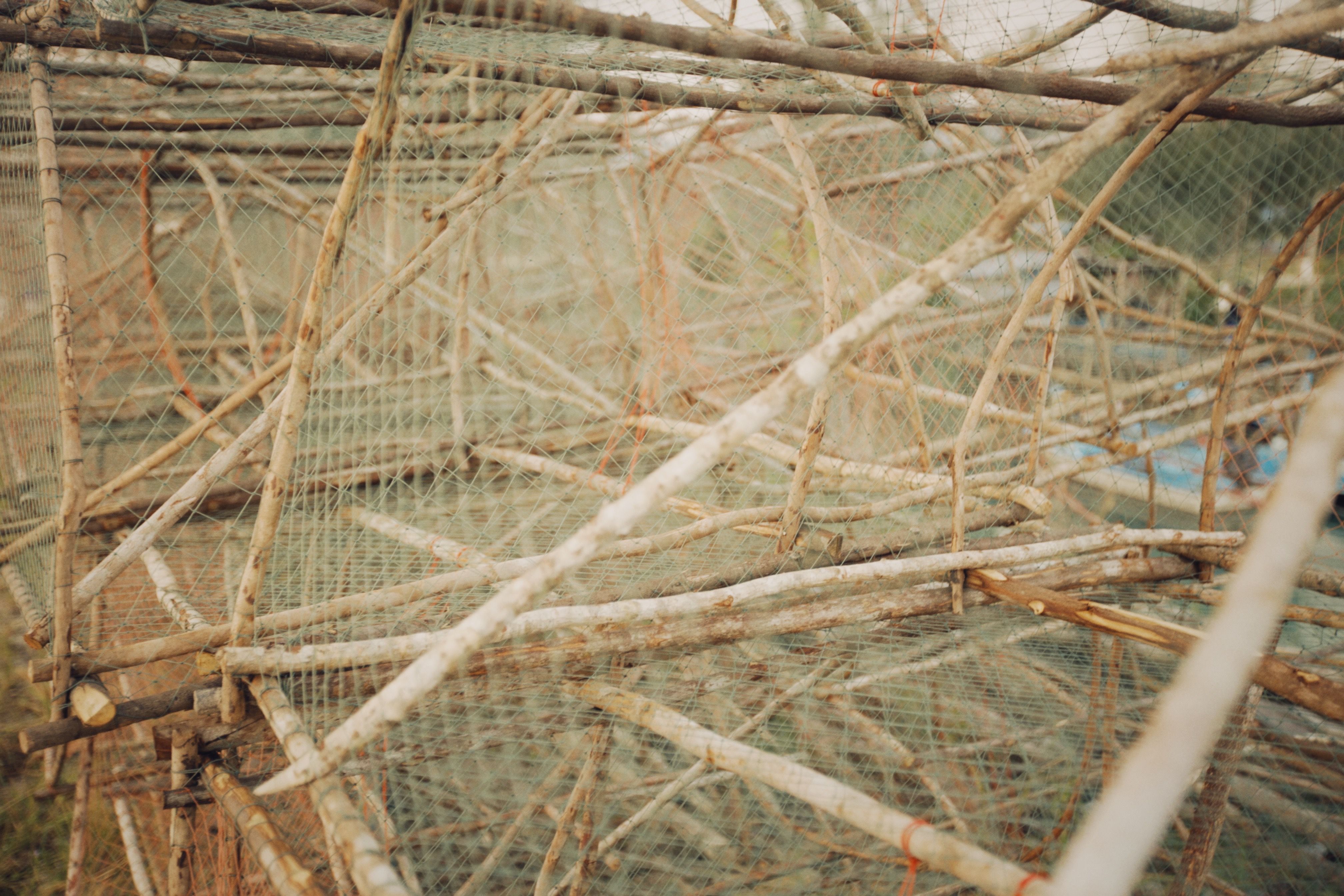 Fencing Wires Photos, Download The BEST Free Fencing Wires Stock Photos ...