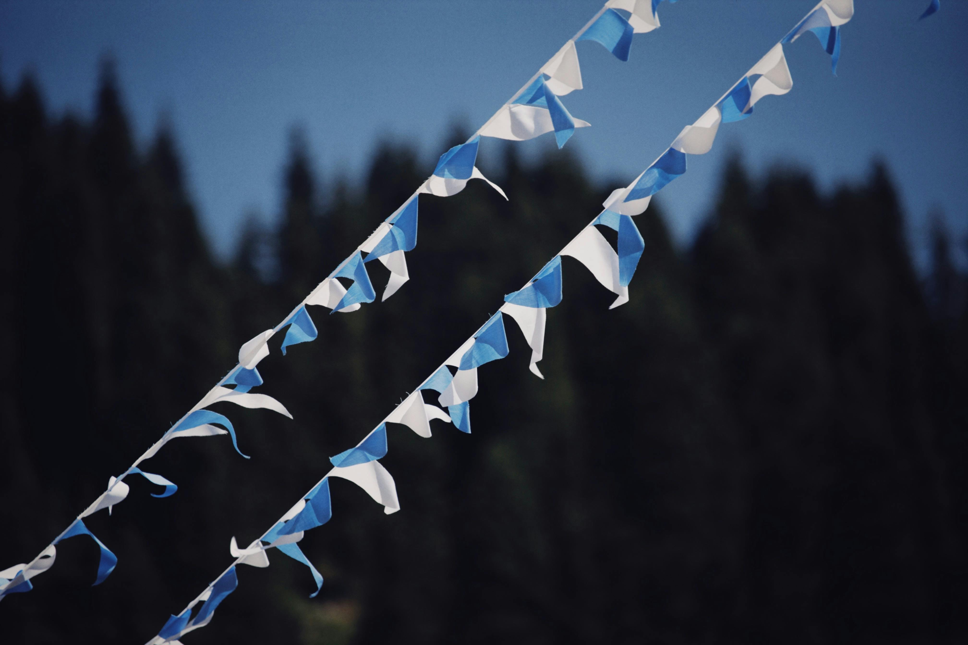 Hanging White and Blue Triangle Streamer · Free Stock Photo