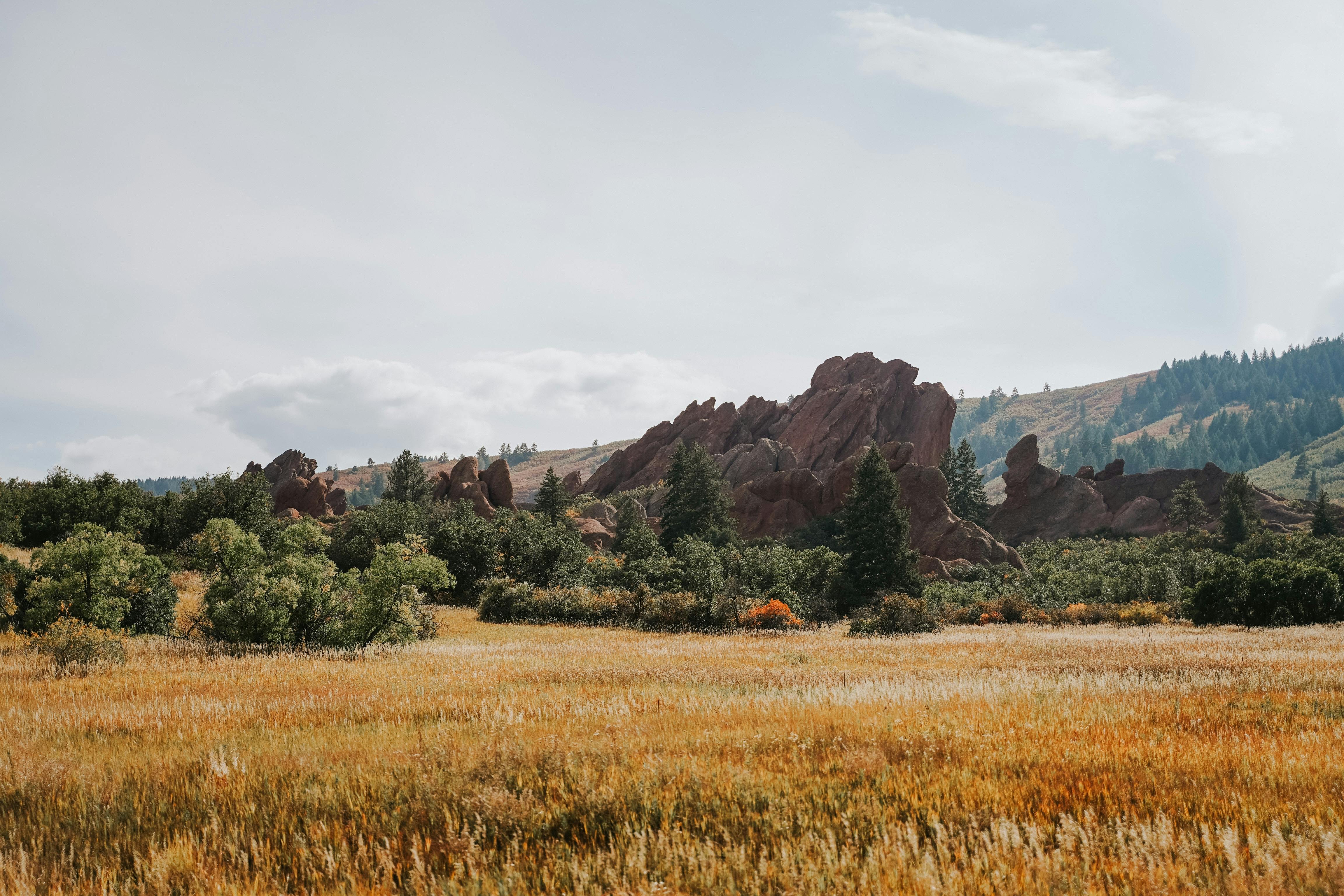 Savannah Rock Photos, Download The BEST Free Savannah Rock Stock Photos ...