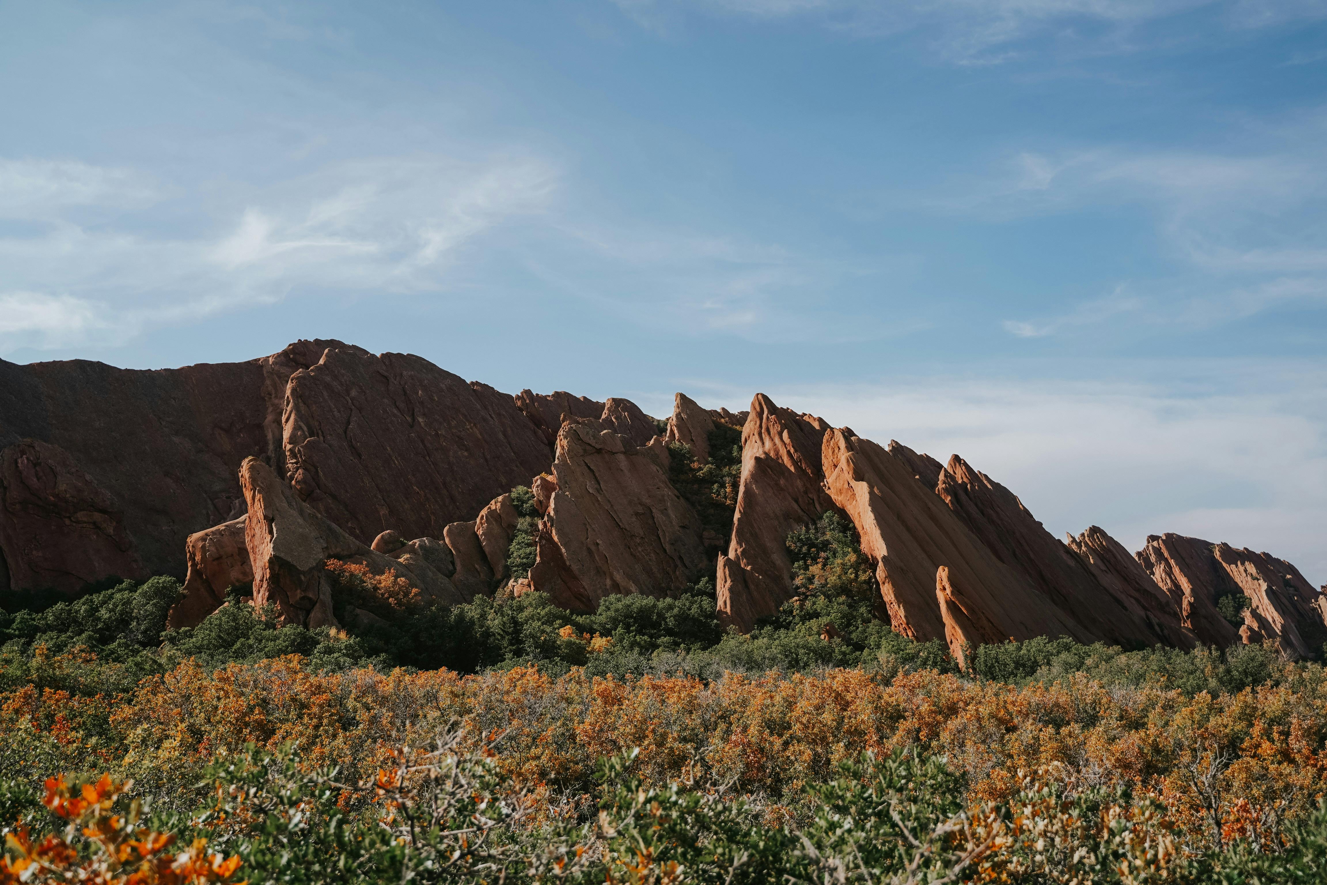 Rock Formation, Trees and Flowers · Free Stock Photo