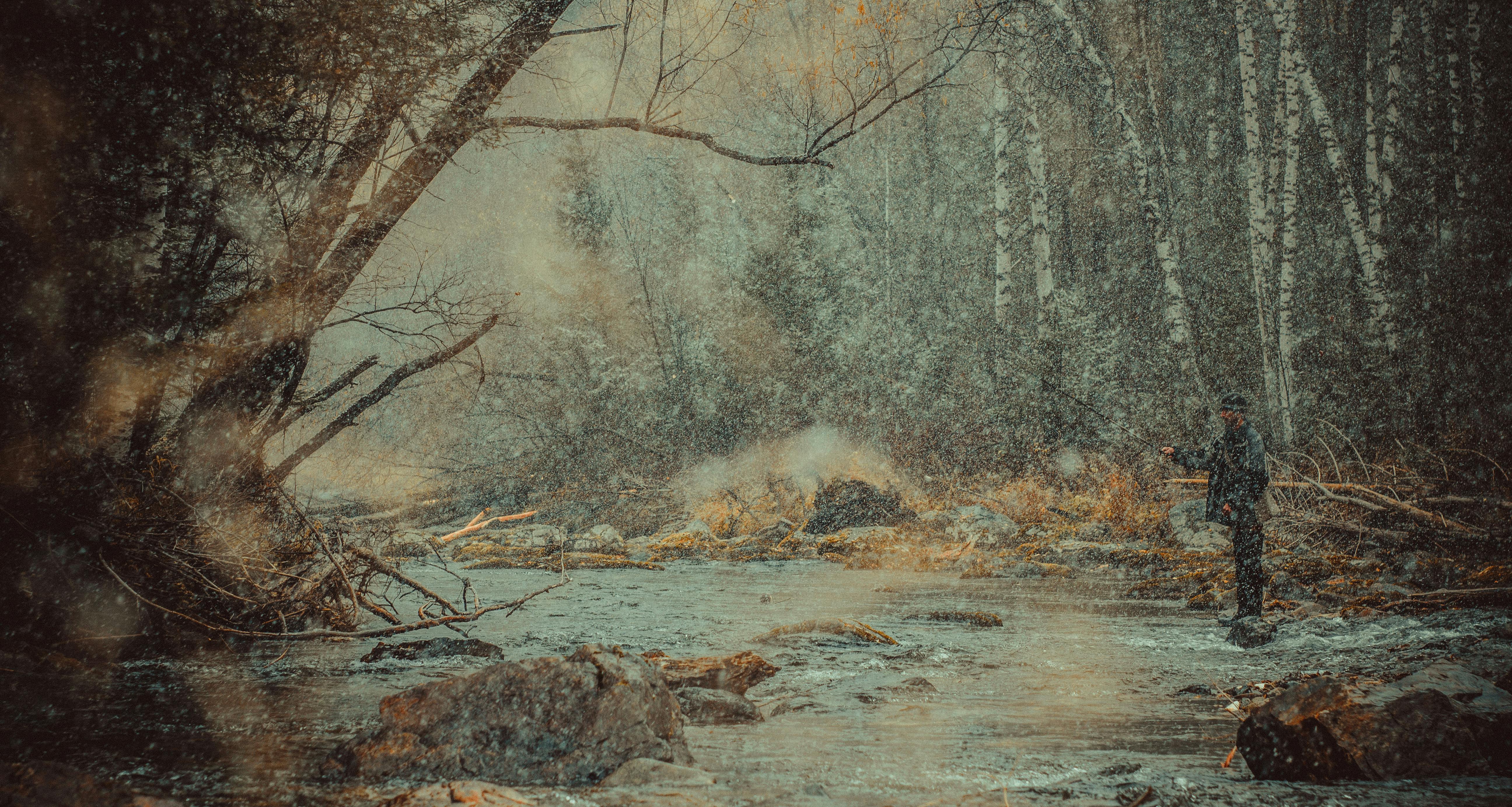 Man Fishing in a Forest · Free Stock Photo