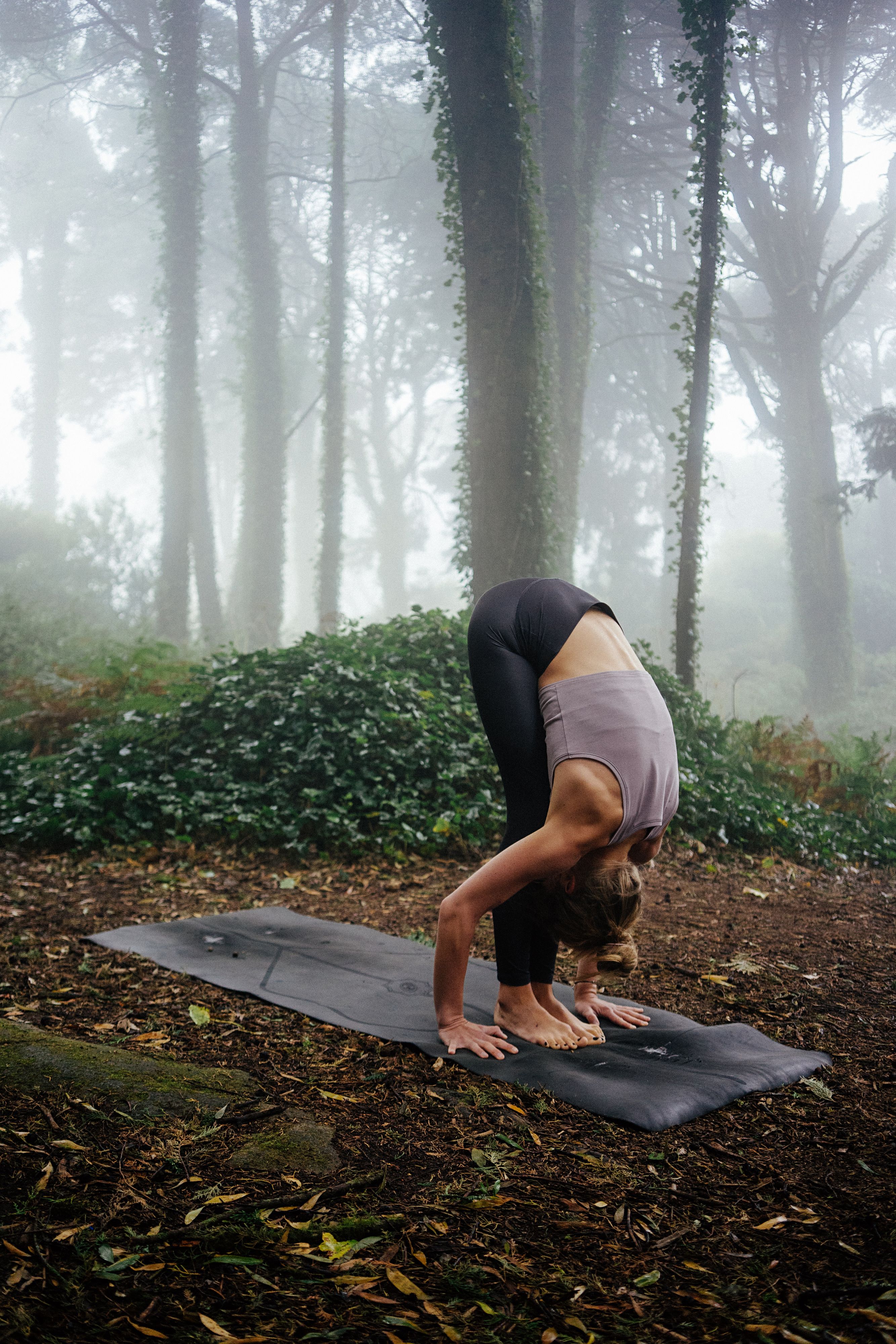 Yoga Forest Photos, Download The BEST Free Yoga Forest Stock Photos ...