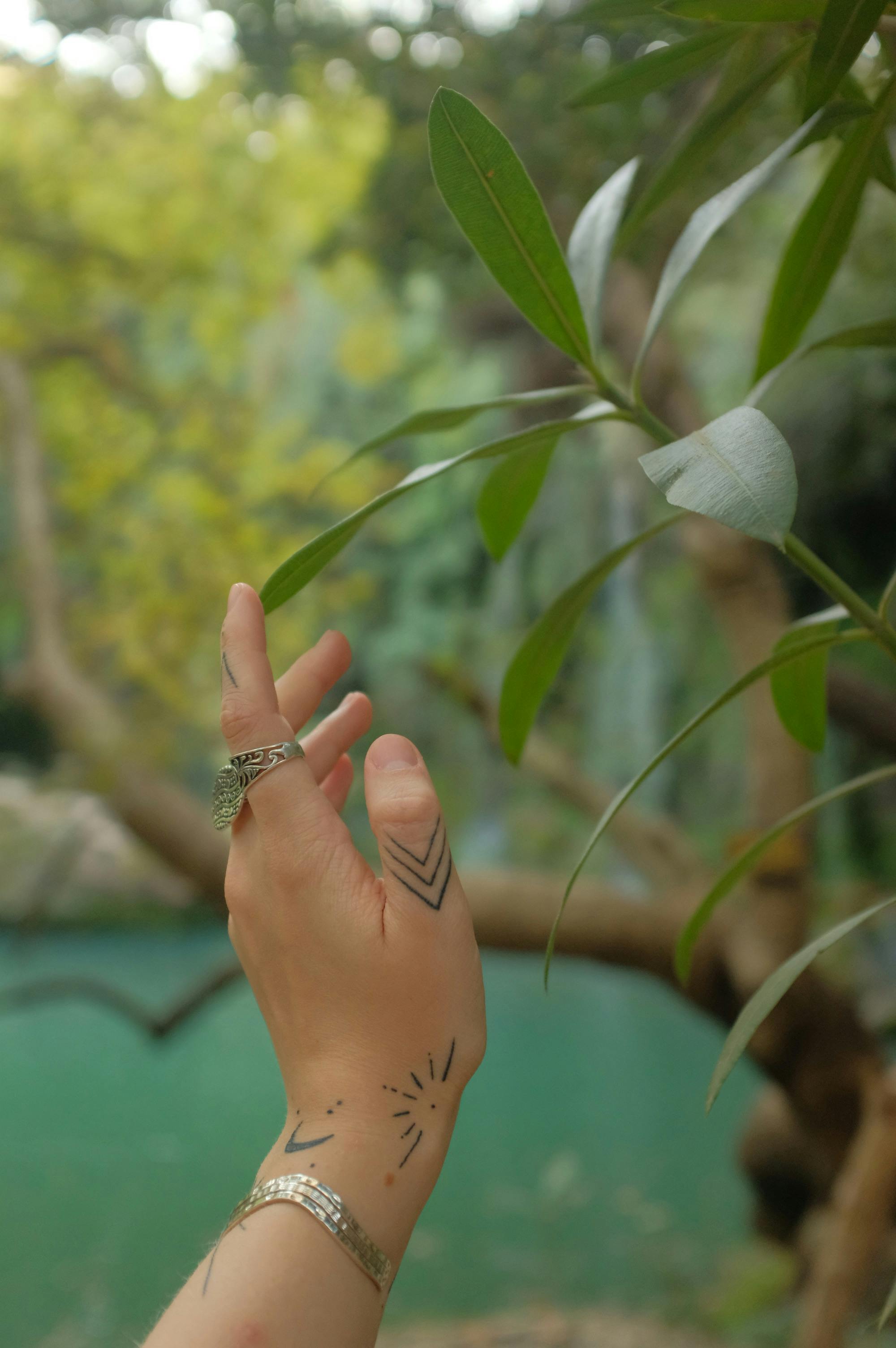 Person Showing Left Hand · Free Stock Photo