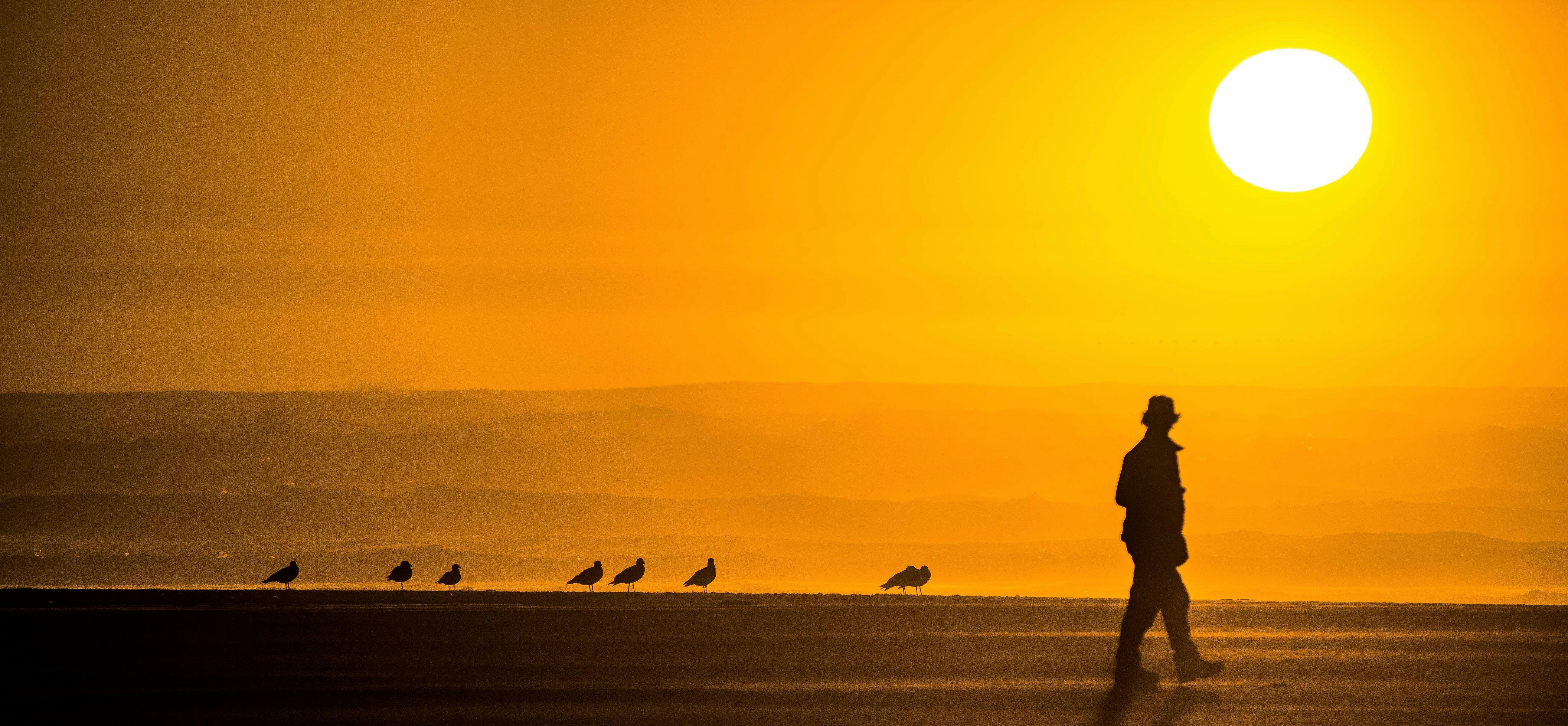 People Walking on a Beach During Sunset · Free Stock Photo