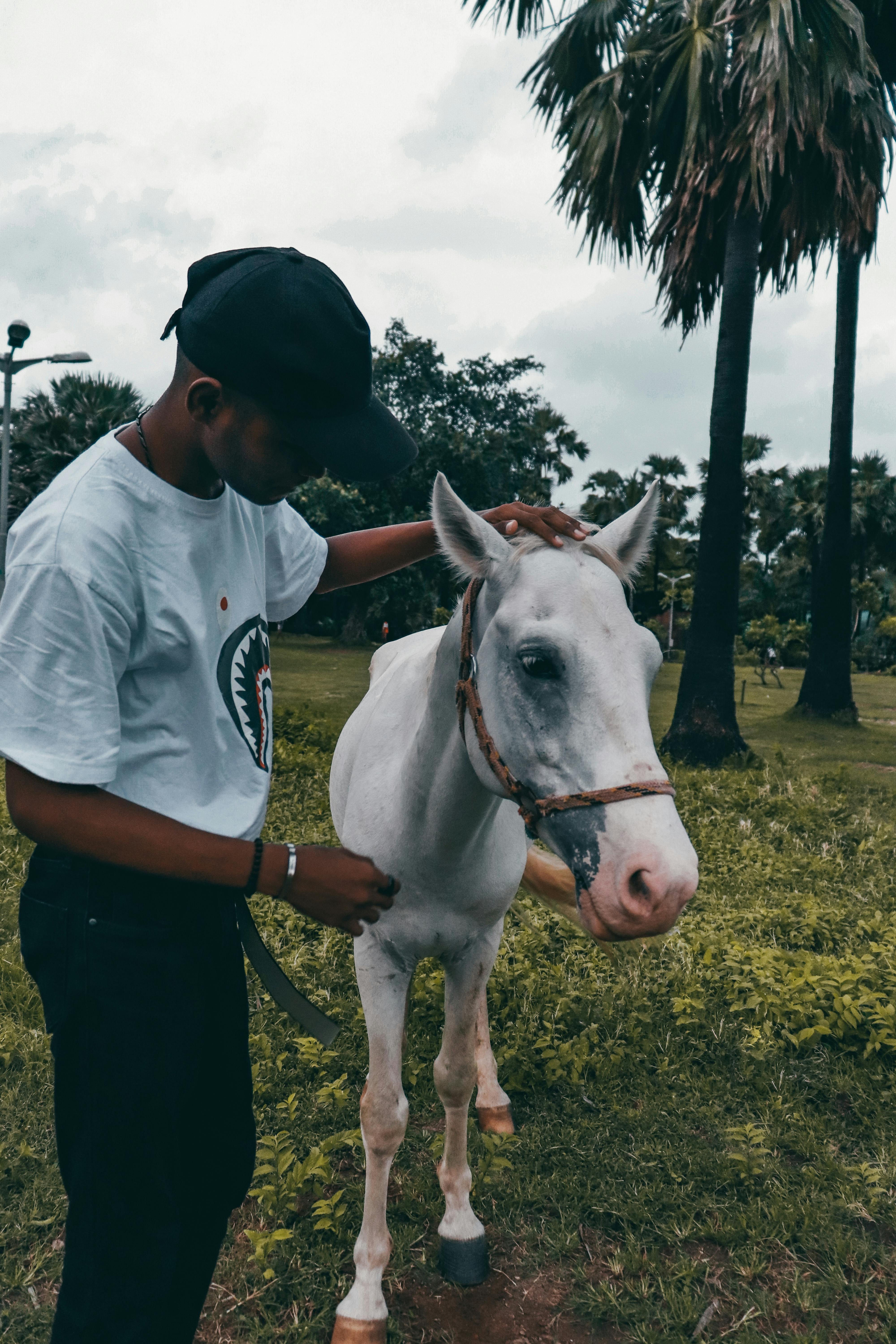 A Man Holding a Horse · Free Stock Photo