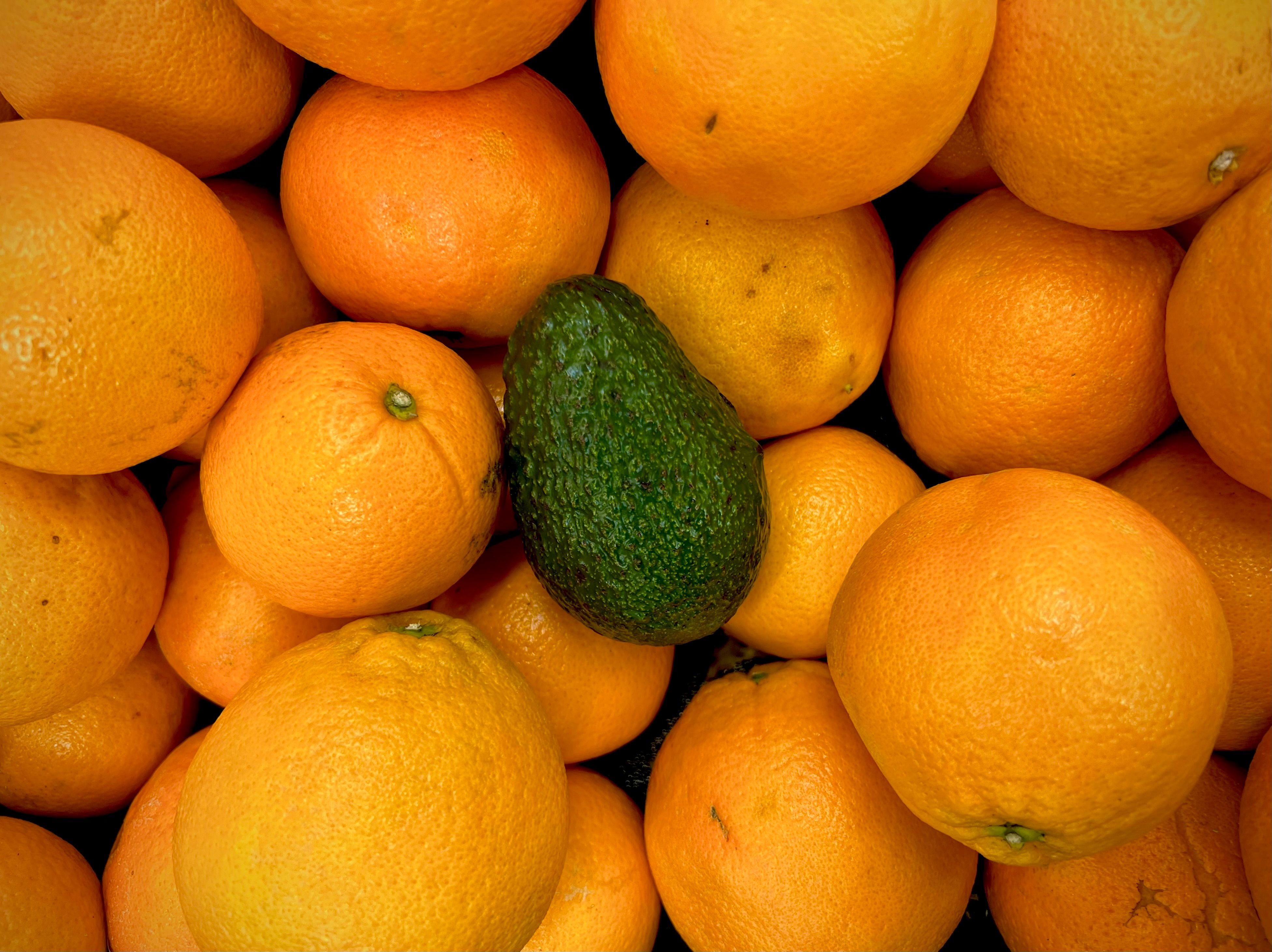 Oranges Texture Photos, Download The BEST Free Oranges Texture Stock ...