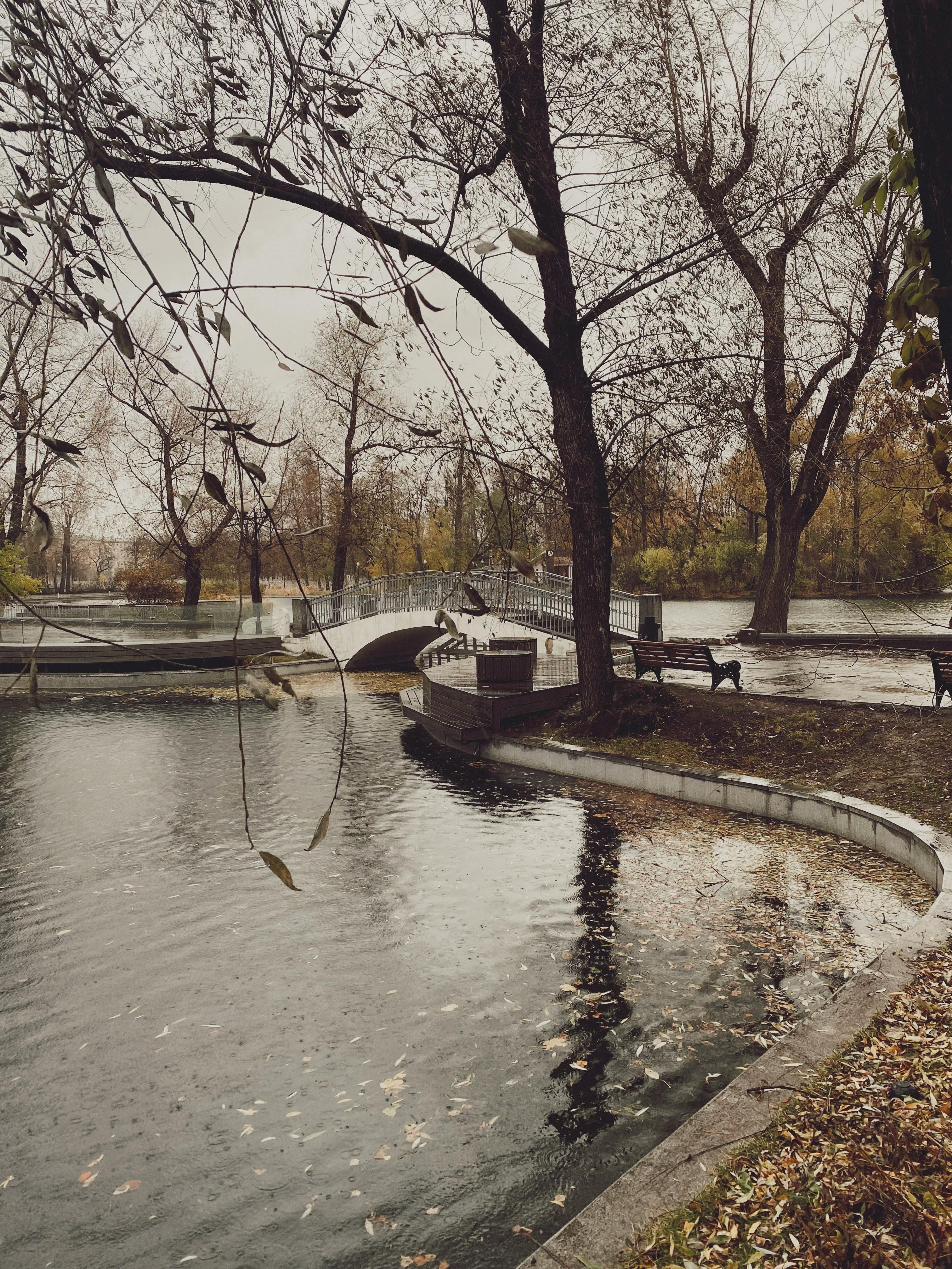 Rainy Season Pond Photos, Download The BEST Free Rainy Season Pond ...