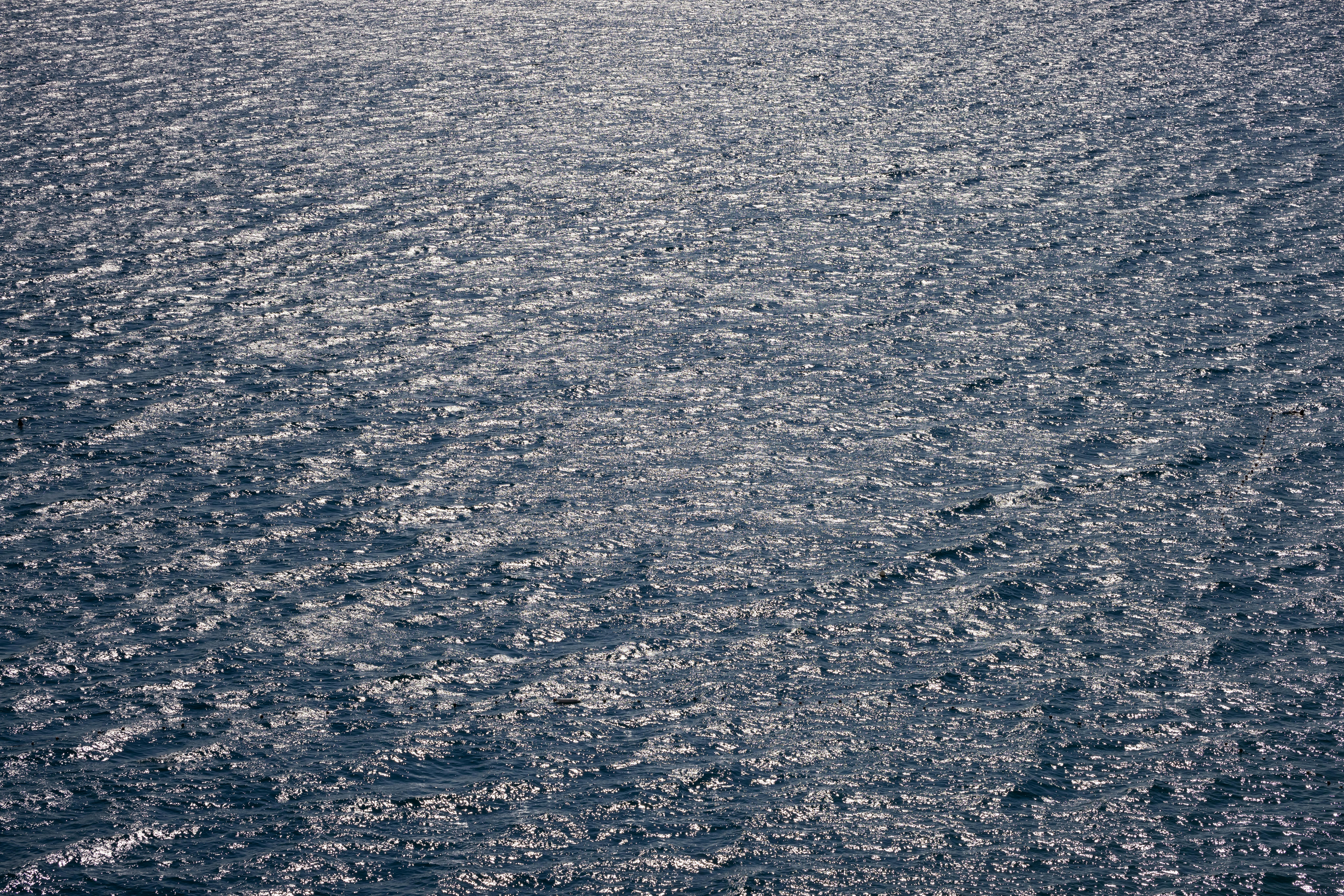 Calm Water on the Sea · Free Stock Photo