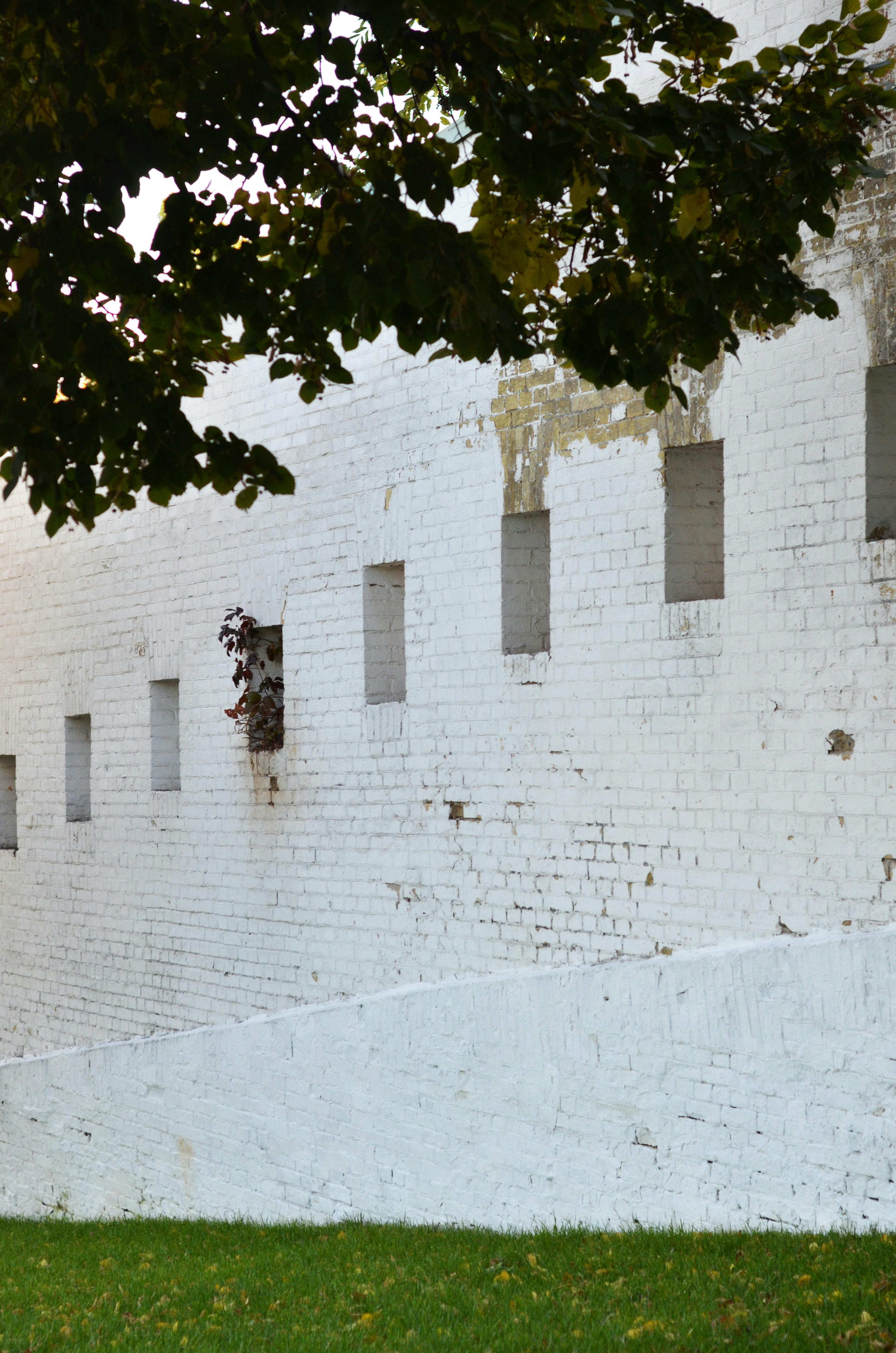 Green Grass Field Near the White Wall · Free Stock Photo