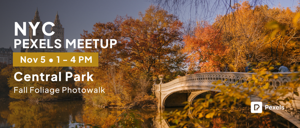 NYC Central Park Photowalk Pexels Meetup Sat Nov 05, 2022