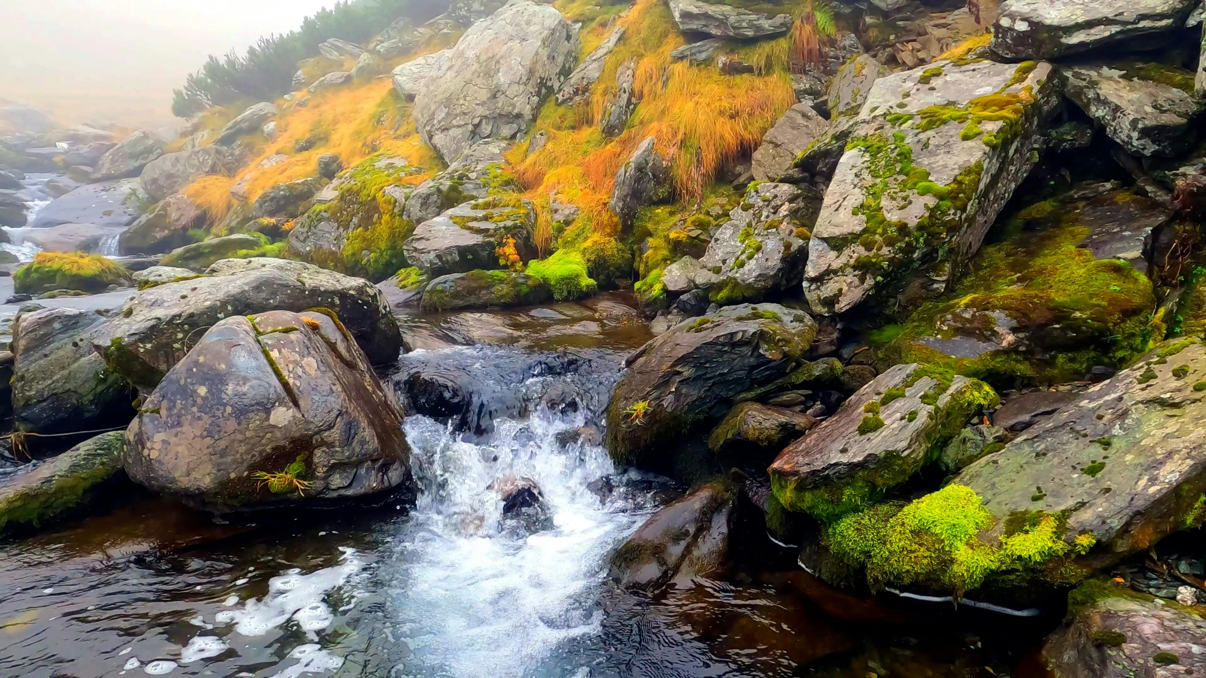 Landscape With Stream and Rocks Free Stock Video Footage, Royalty-Free ...