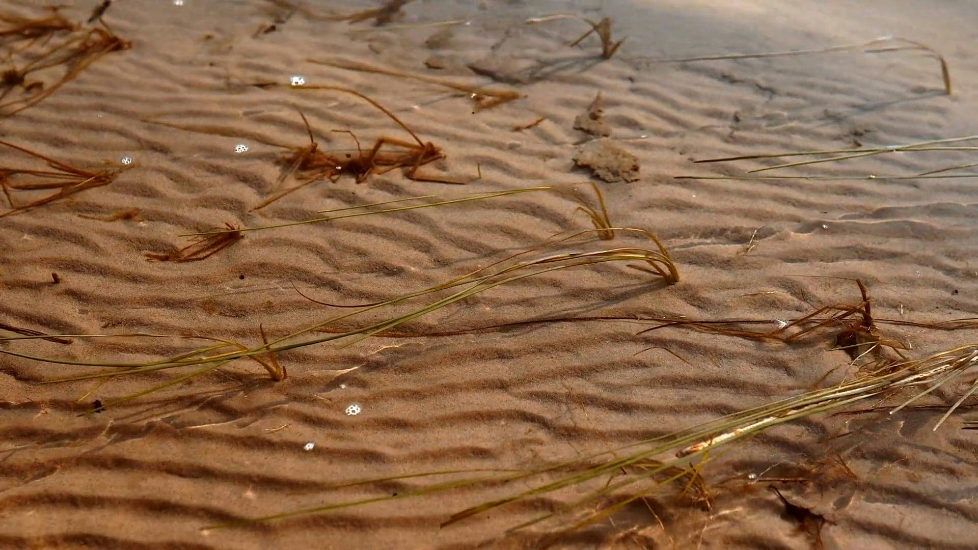 Sand Under Transparent Water Surface Free Stock Video Footage, Royalty ...