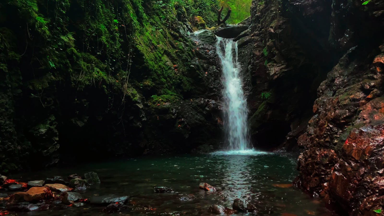 nature video clips 10 Photos & Videos Collected by Sage Raven