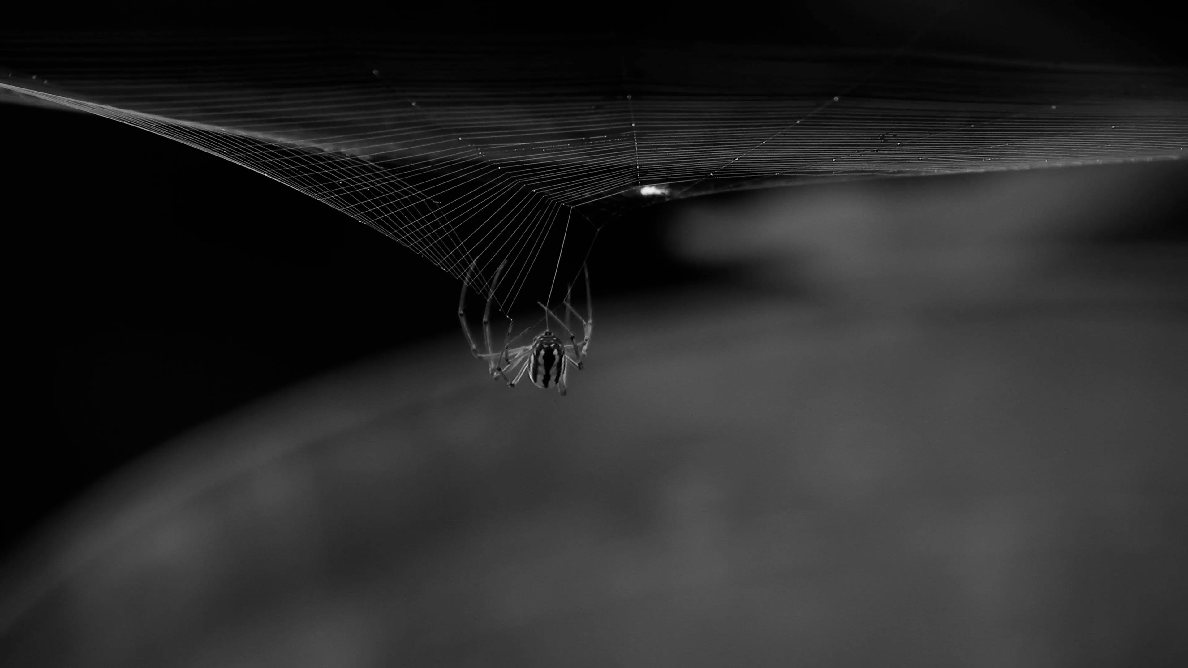 Dark Web Documentary Videos, Download The BEST Free 4k Stock Video ...