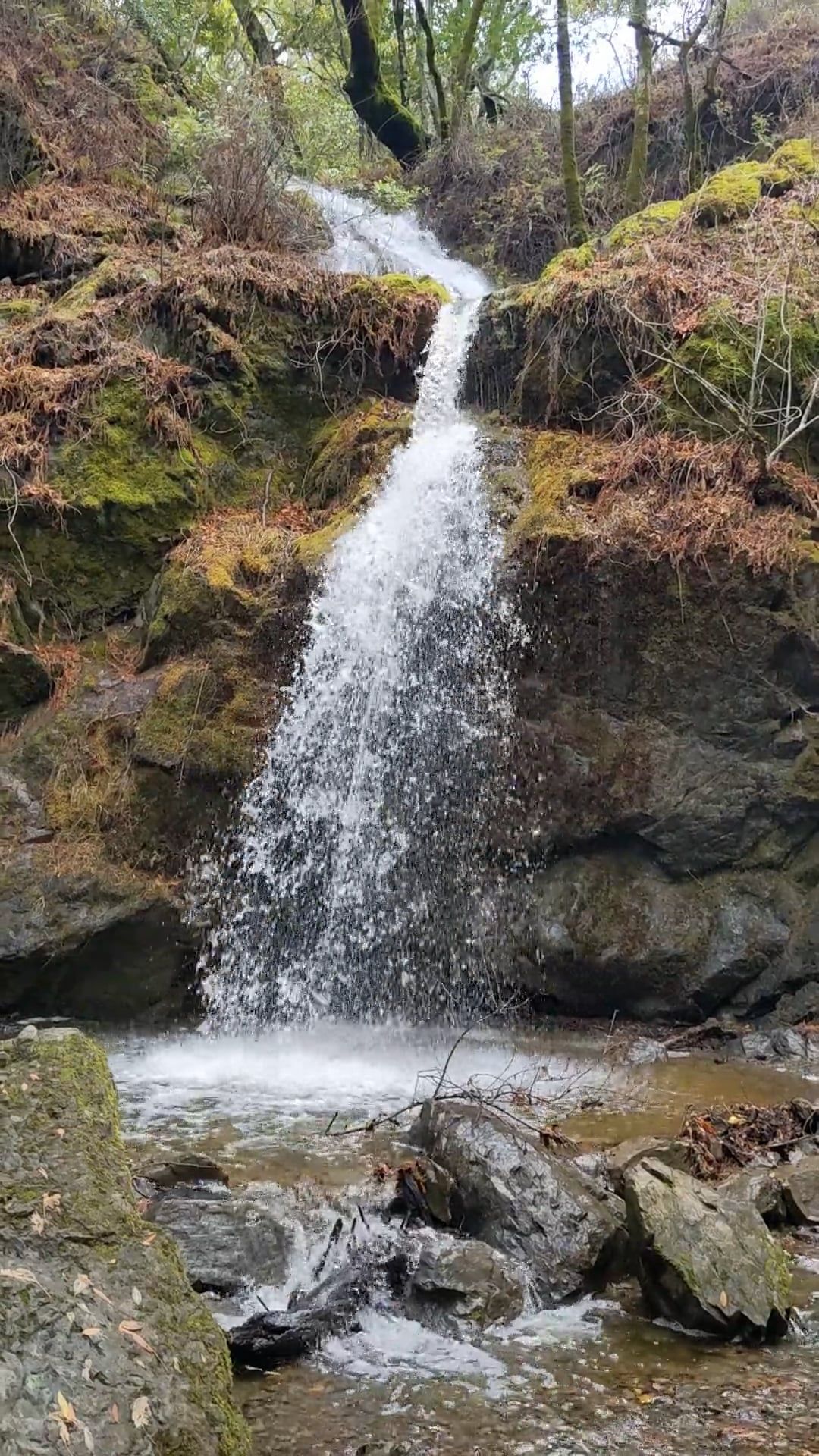 Landscape with Small Waterfall Free Stock Video Footage, Royalty-Free ...