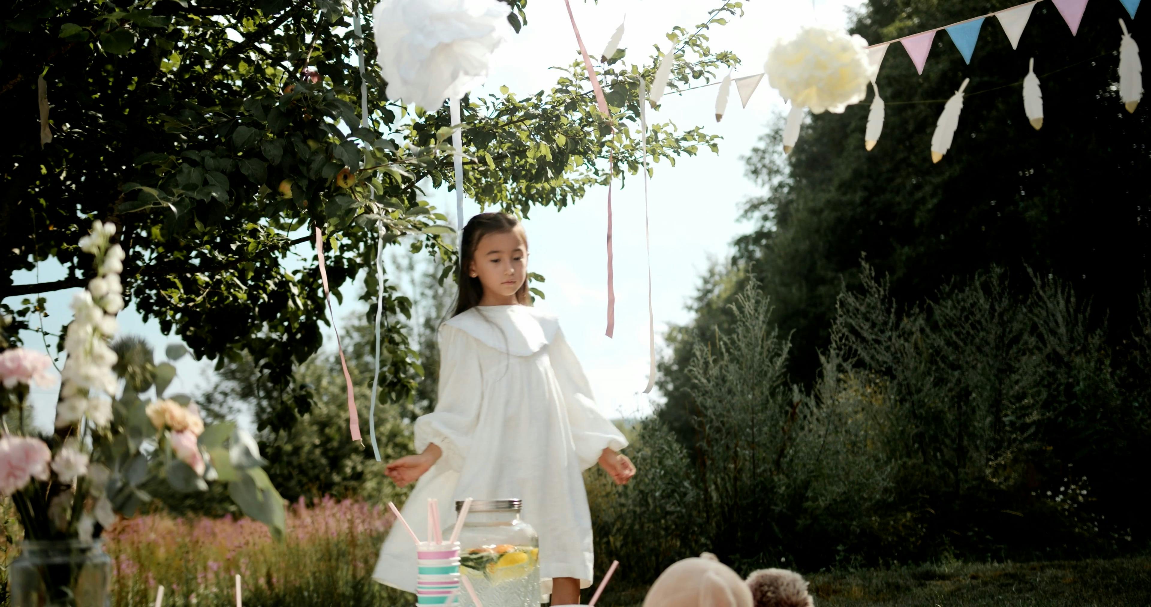 Birthday Celebration Videos, Download The BEST Free 4k Stock Video ...