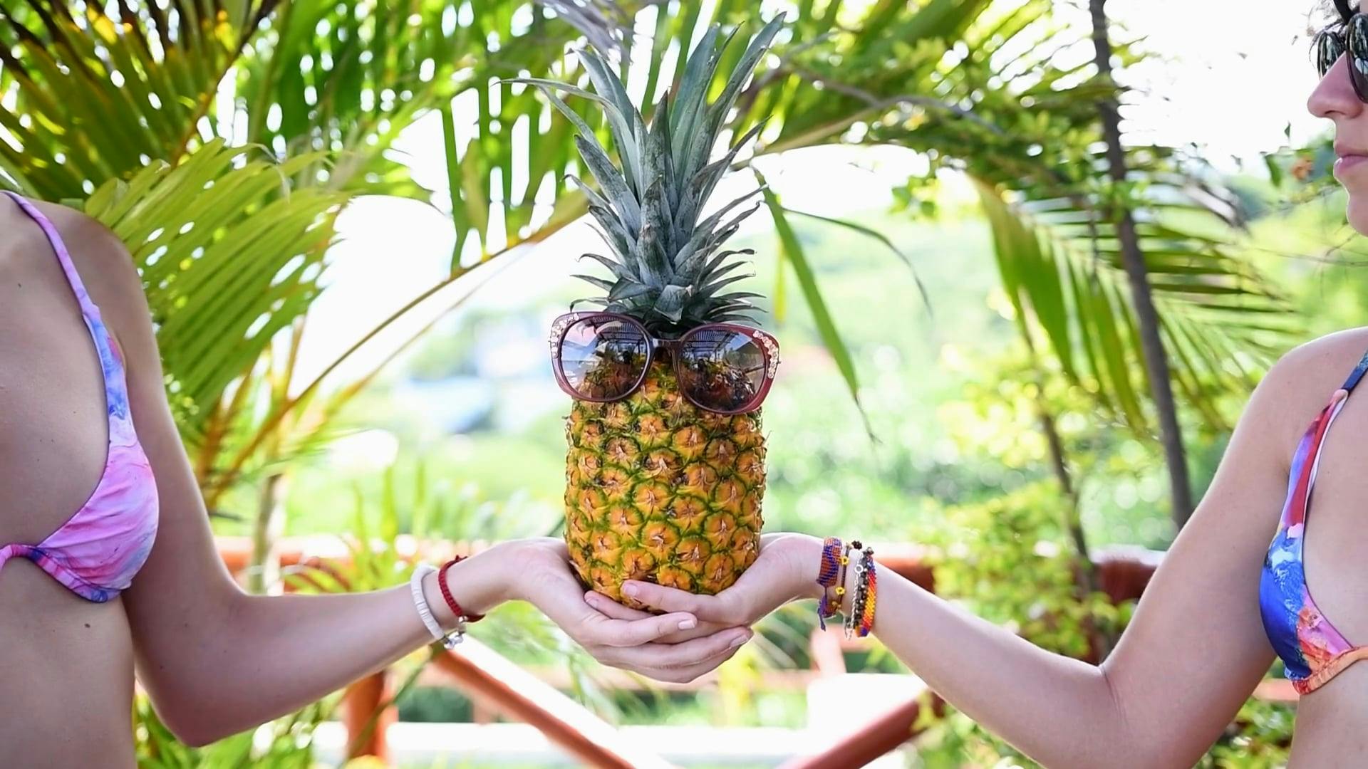 Bikini Kiss Videos, Download The BEST Free 4k Stock Video Footage ...