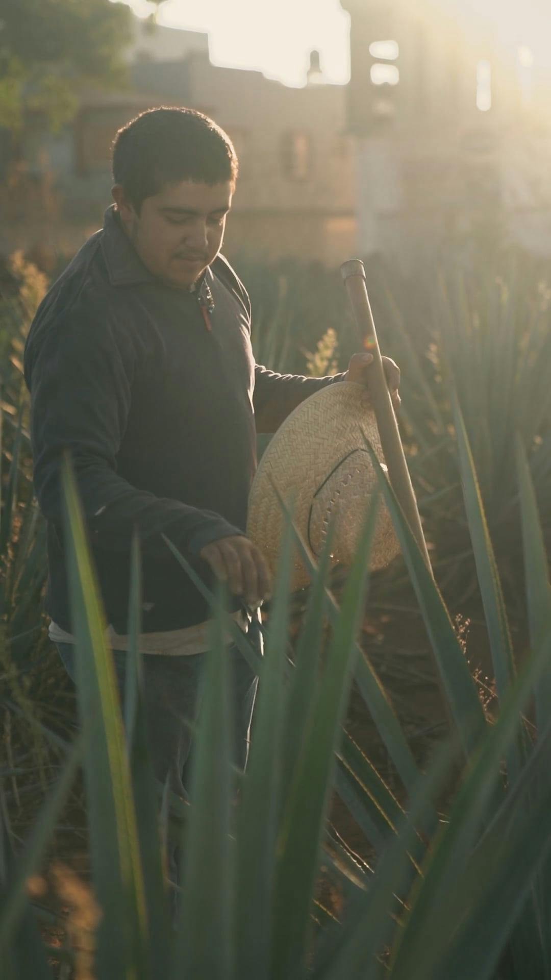 Los mejores 3000+ vídeos de Rancho Mexicano · Banco de Imágenes Gratis ...