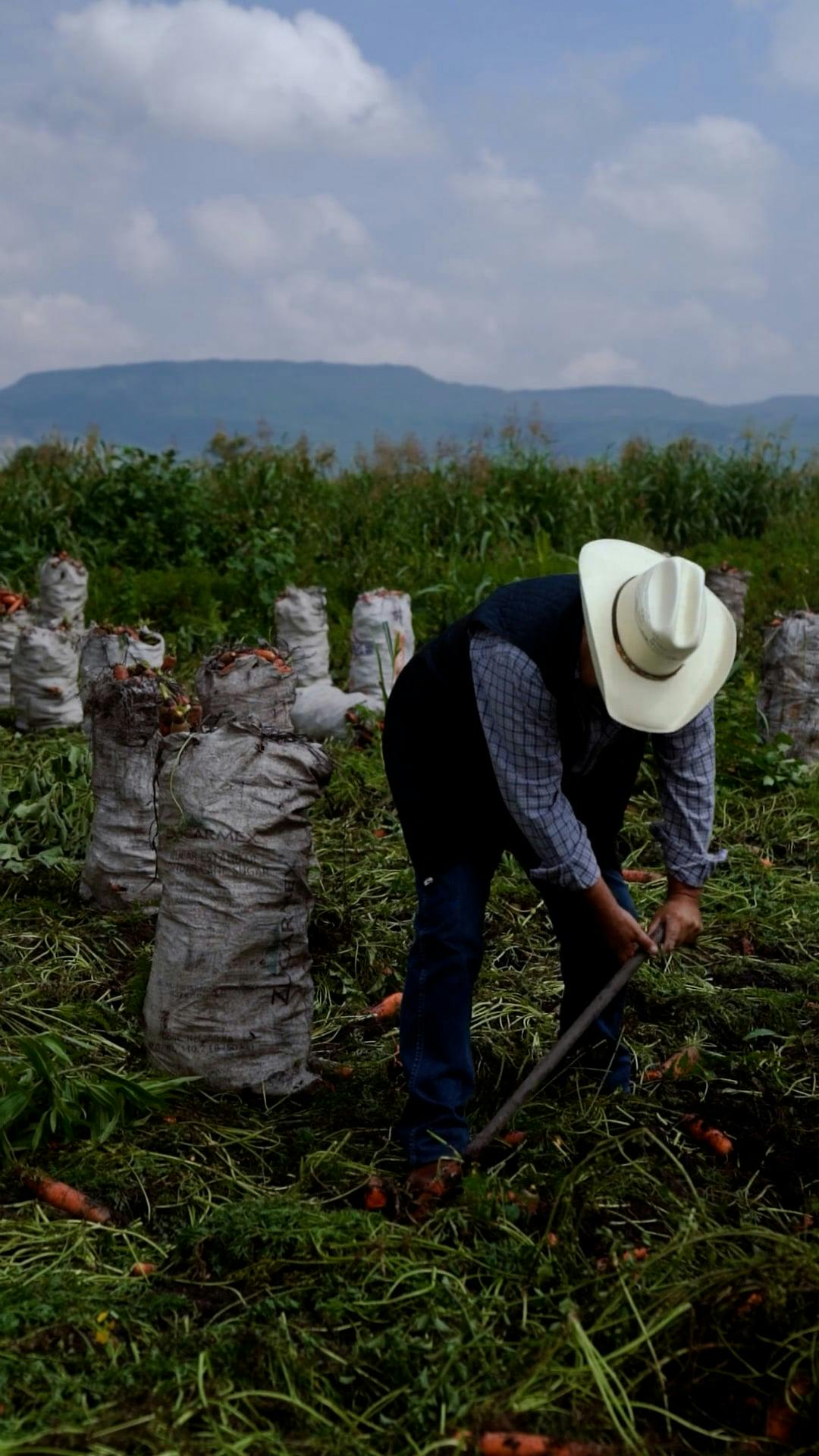 Farmer Working Videos, Download The BEST Free 4k Stock Video Footage ...
