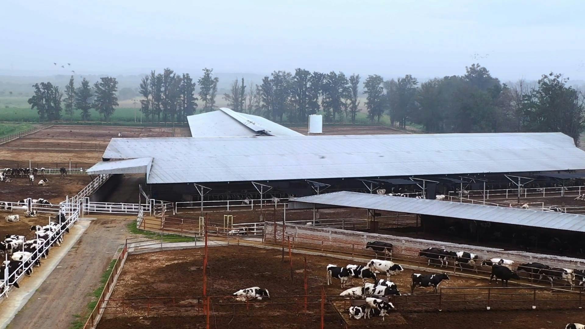 Drone Shot of Farm With Cattle Free Stock Video Footage, Royalty-Free ...