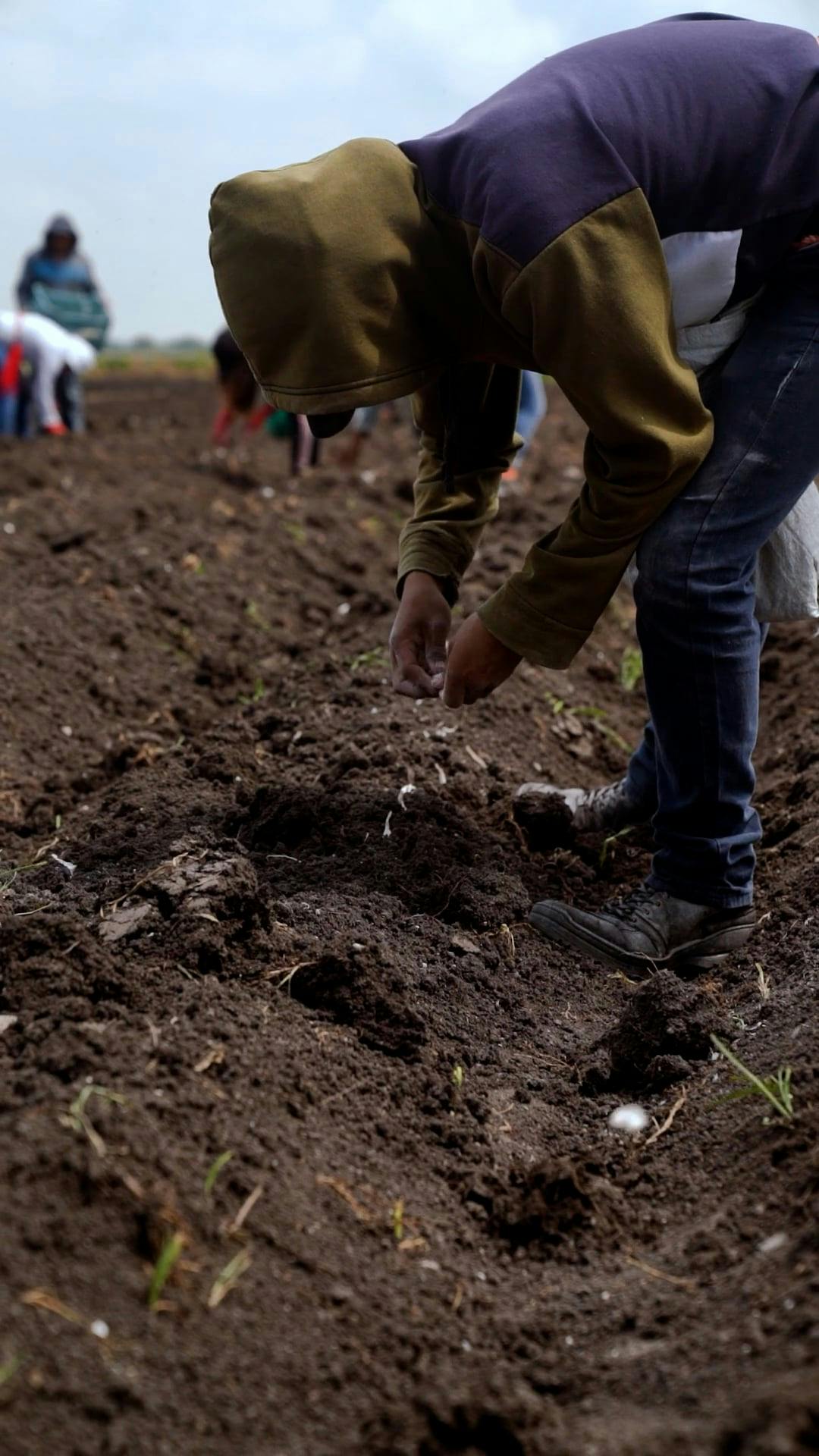 Farmhand Videos, Download The BEST Free 4k Stock Video Footage ...