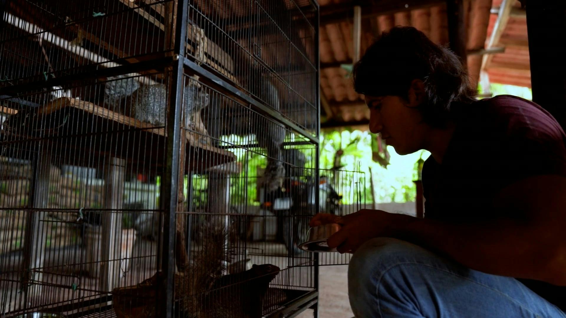 Man Caged Videos, Download The BEST Free 4k Stock Video Footage & Man ...