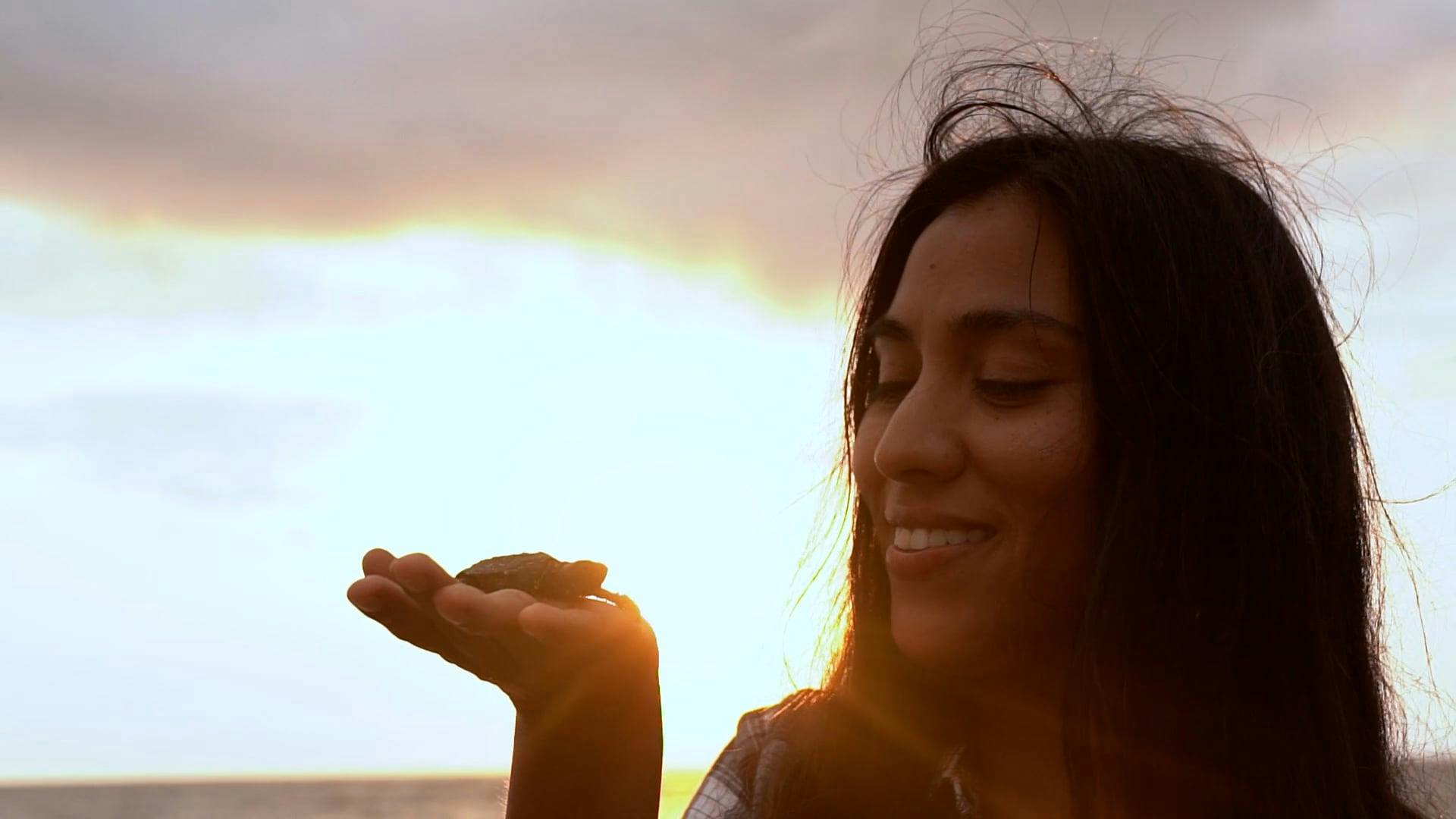 A Group Of Freshwater Turtles Resting On A Pile Of Concretes Free Stock ...