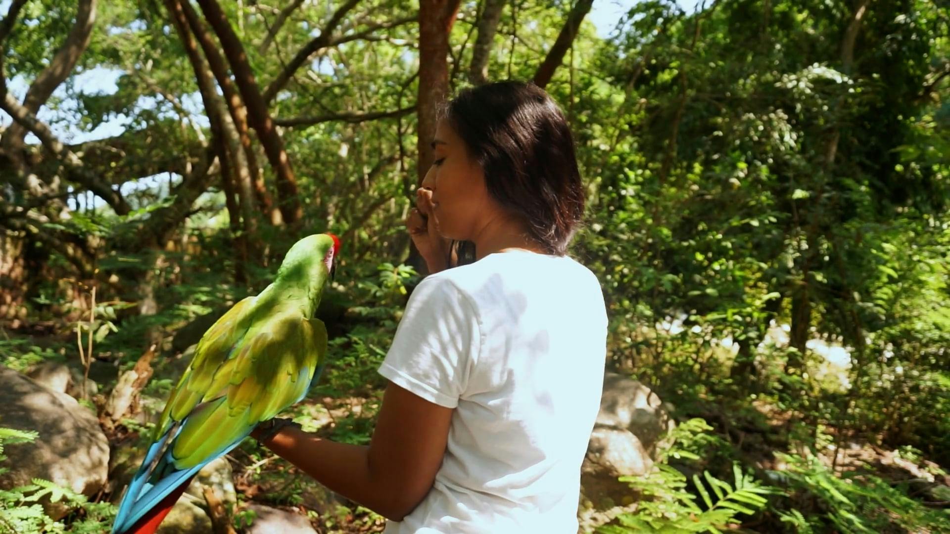 Amazon Wild People Videos, Download The BEST Free 4k Stock Video ...