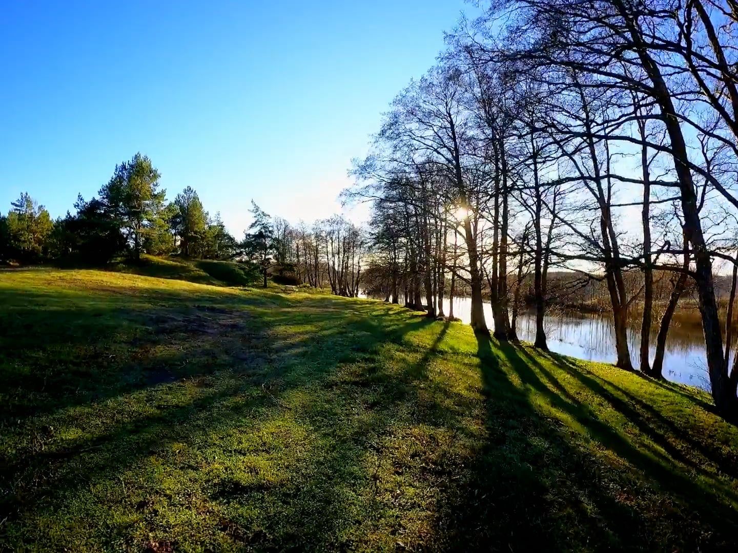 Everything Is Green · Free Stock Video