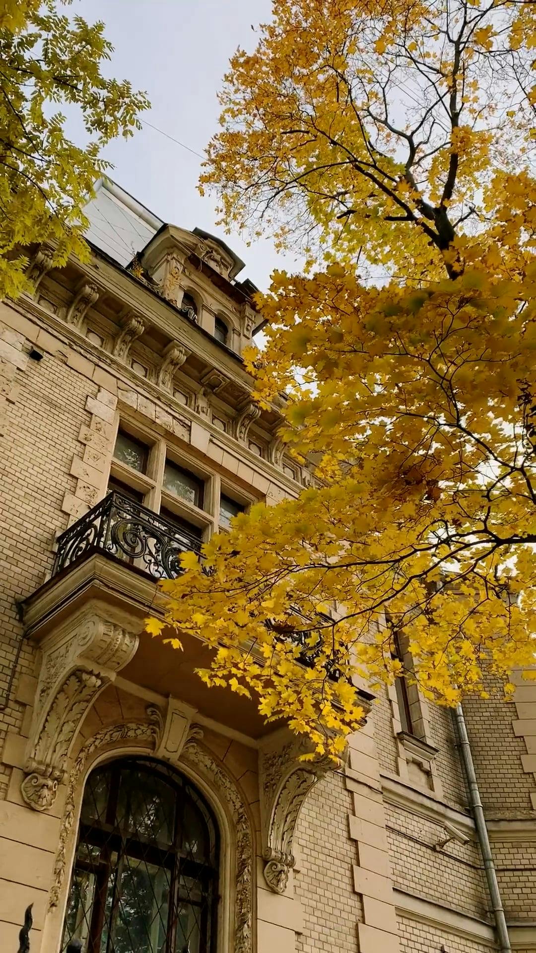 Old Building and Tree in Autumn Free Stock Video Footage, Royalty-Free ...