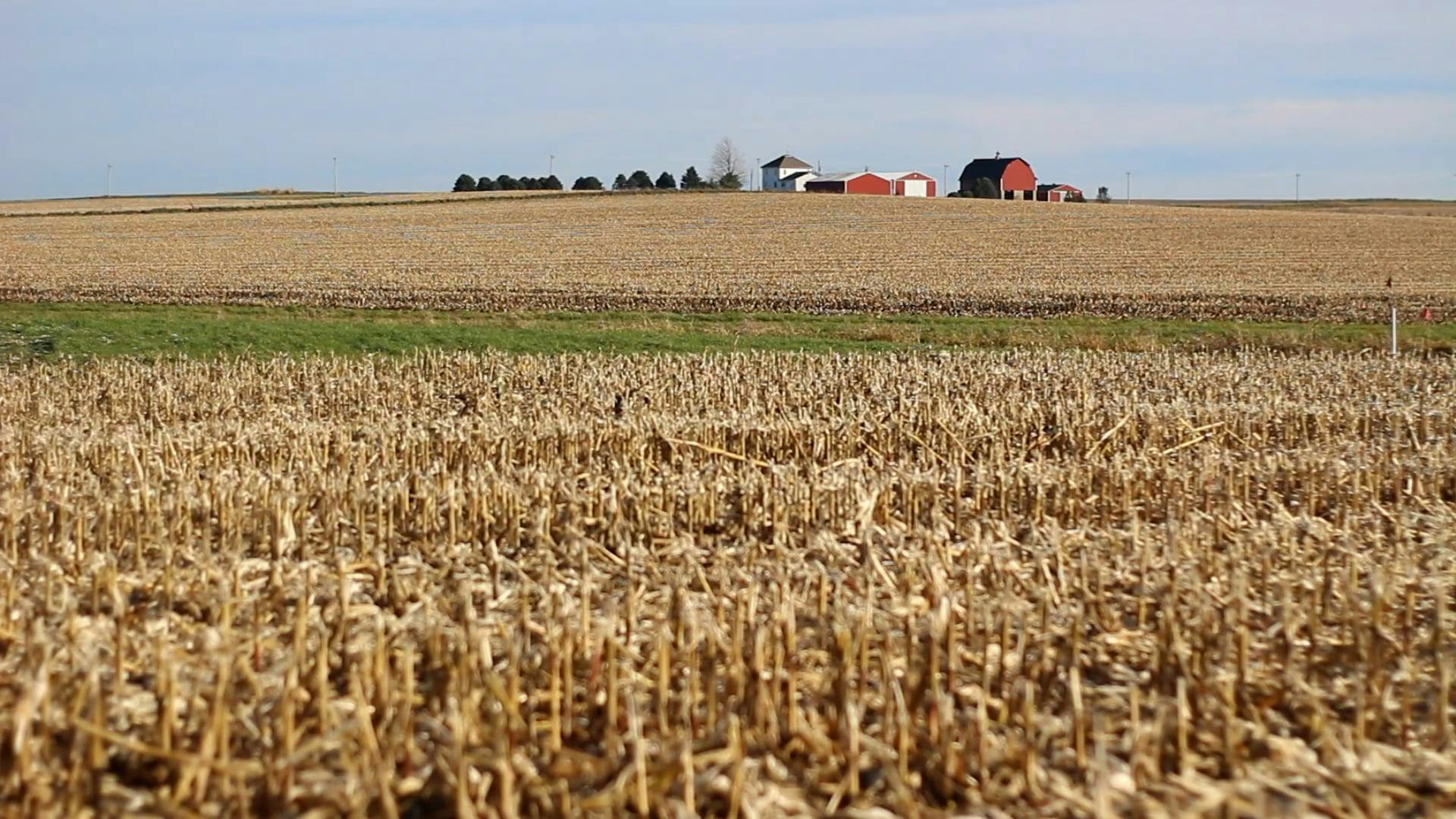 An Abandoned Barn in a Farm Field Free Stock Video Footage, Royalty ...