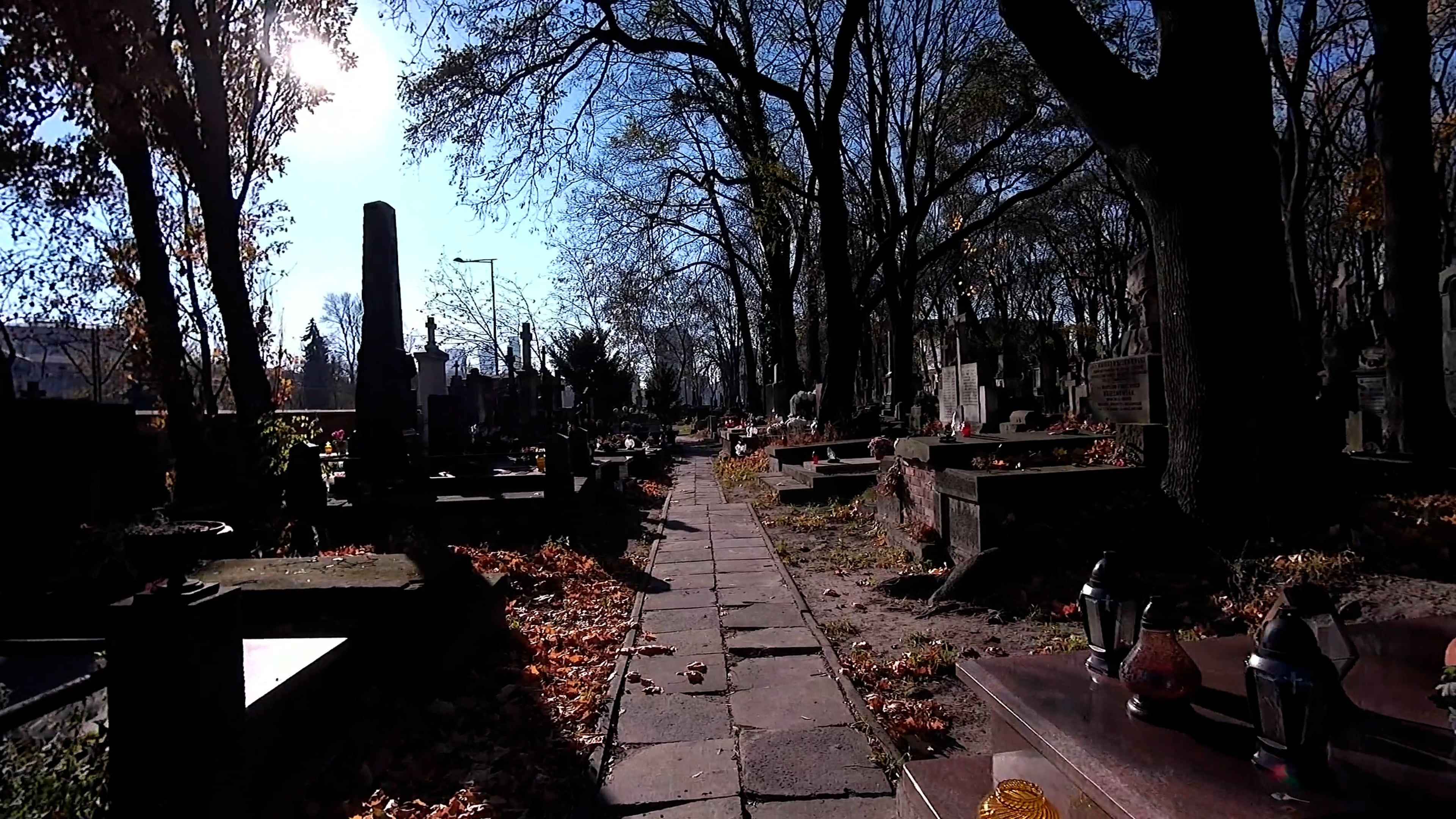 POV Shot of a Person Walking in a Cemetery Free Stock Video Footage ...
