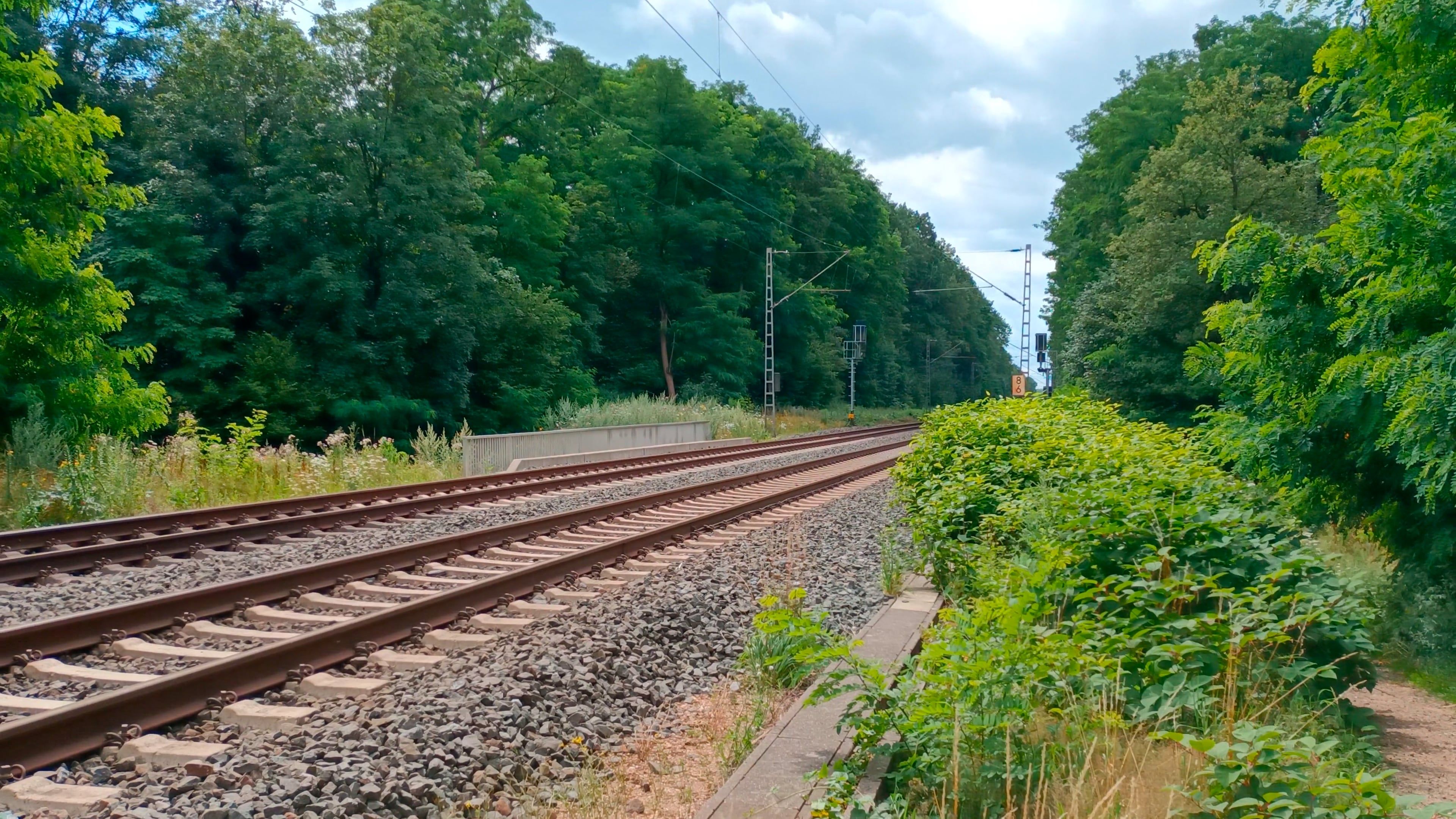 Train on Railroad Tracks and Green Trees Free Stock Video Footage ...