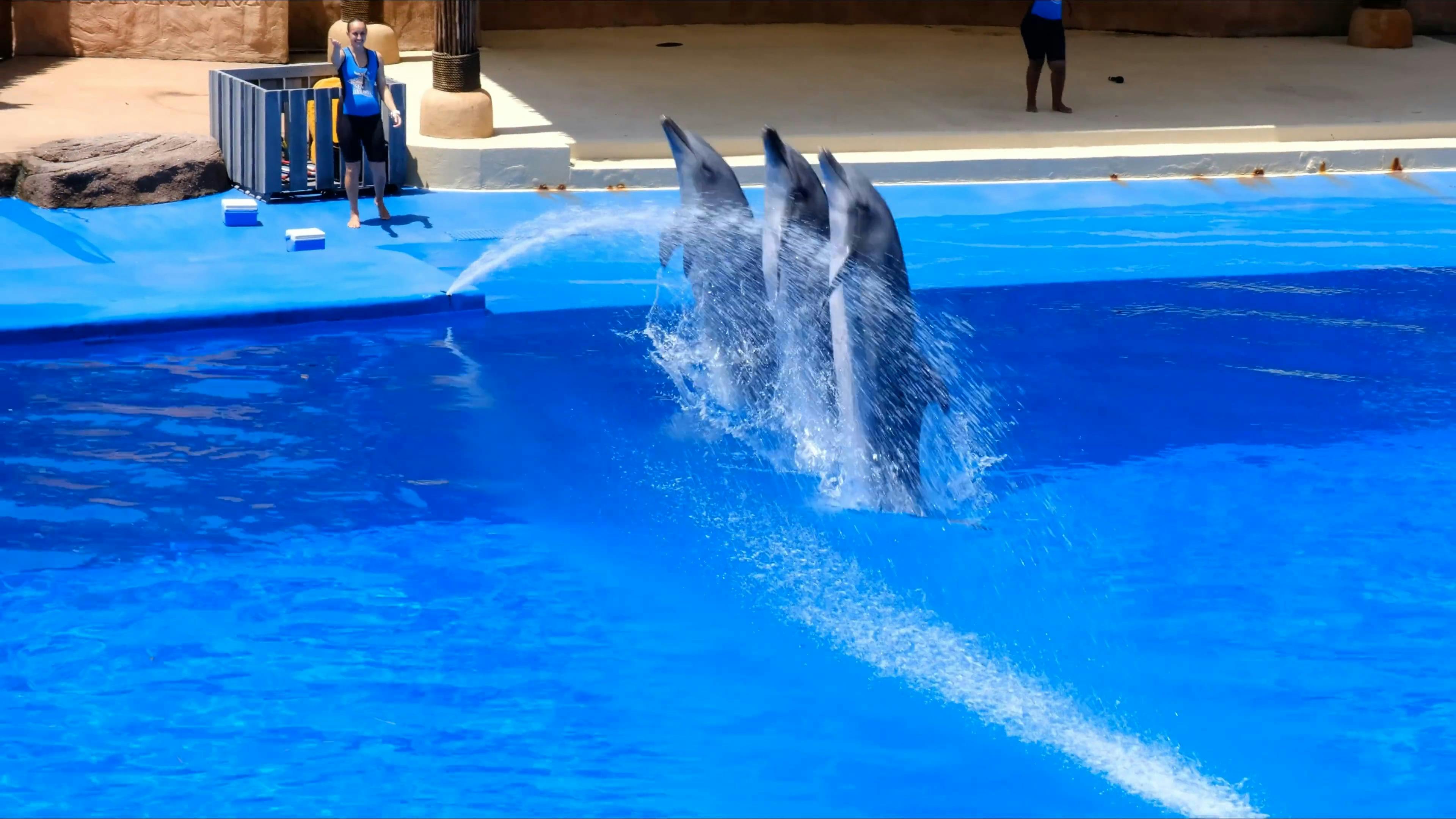 Water Stunts Videos, Download The BEST Free 4k Stock Video Footage ...