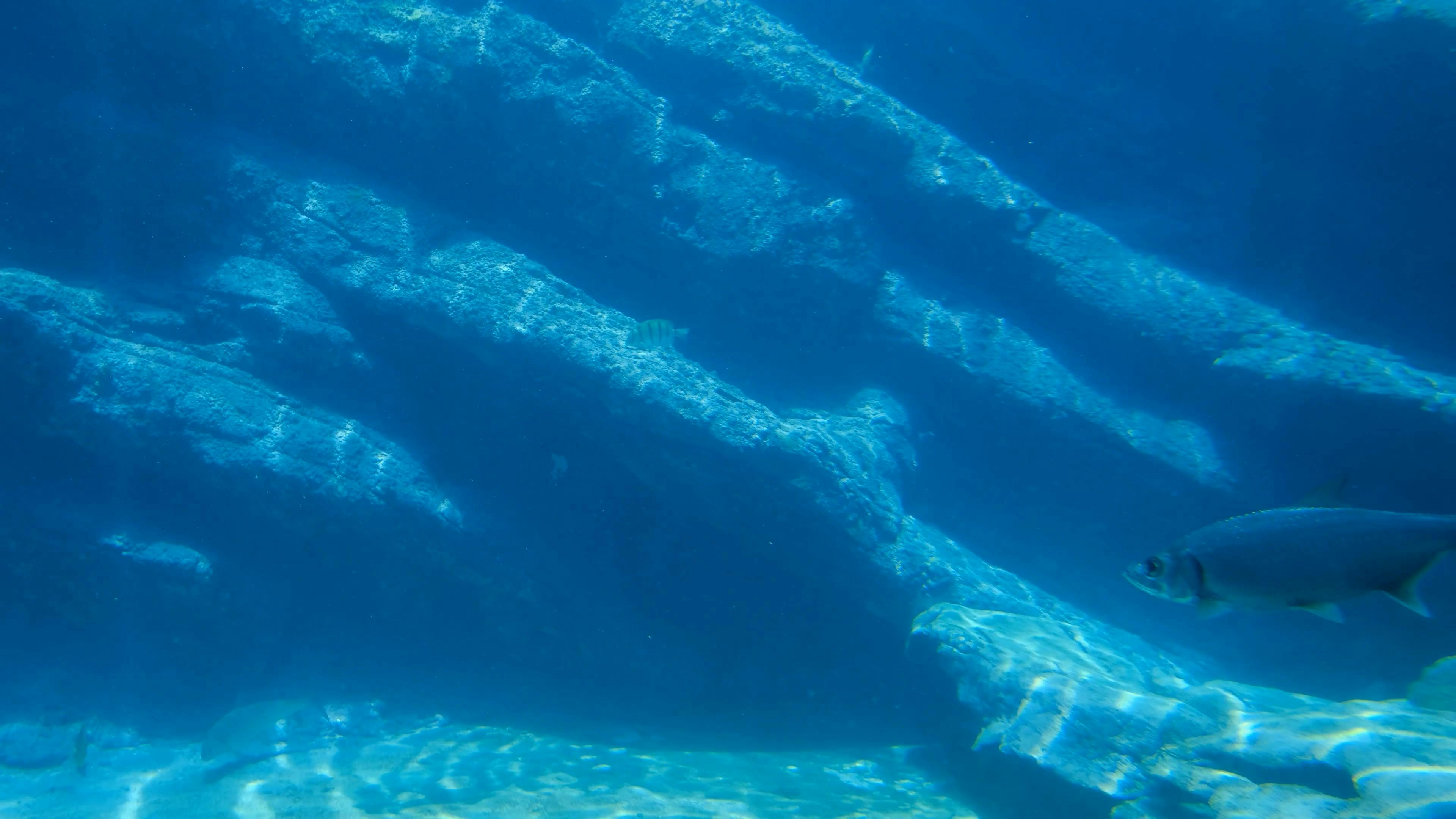 Fish Inside Aquarium Free Stock Video Footage, Royalty-Free 4K & HD ...