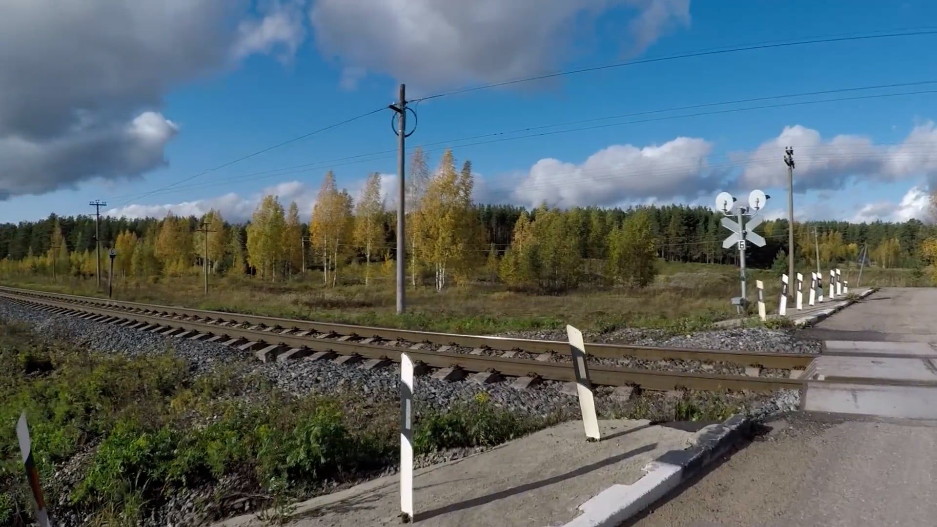 Railroad Crossing and Forest Free Stock Video Footage, Royalty-Free 4K ...