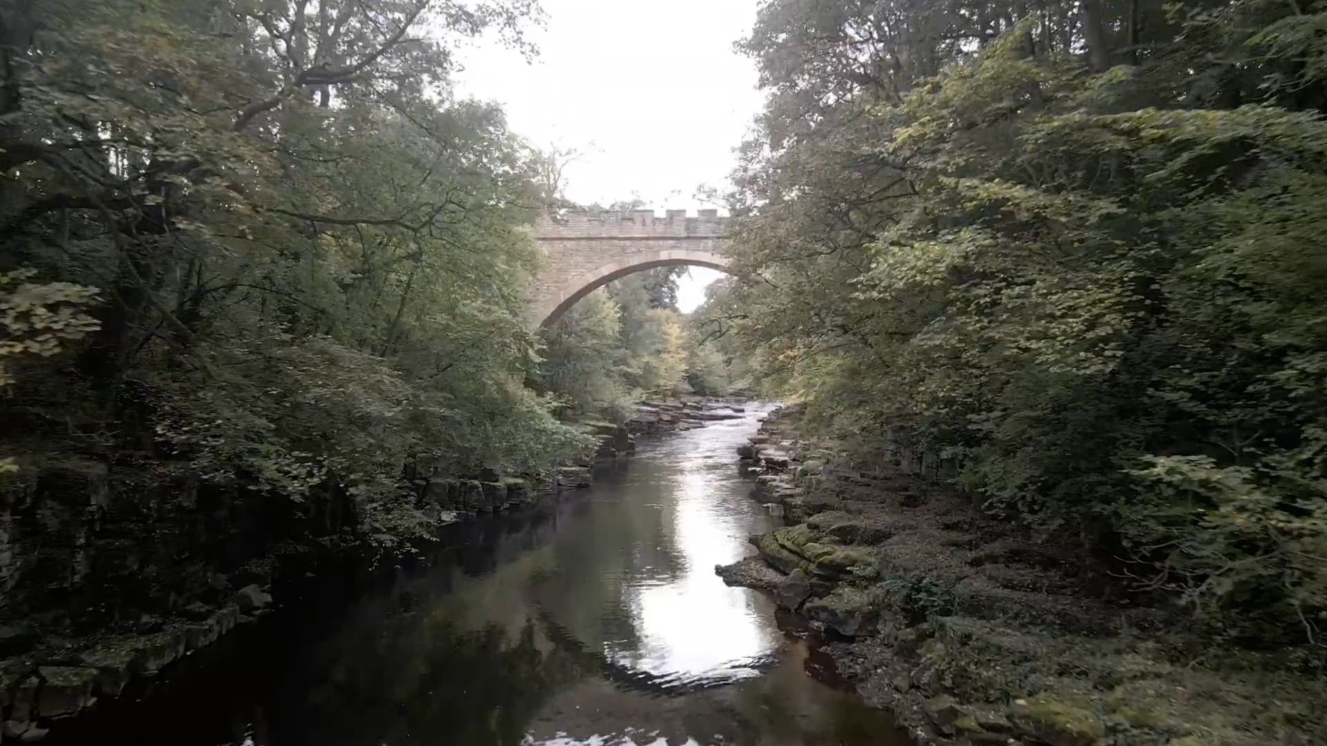 Bridge Across Stream in Forest Free Stock Video Footage, Royalty-Free ...