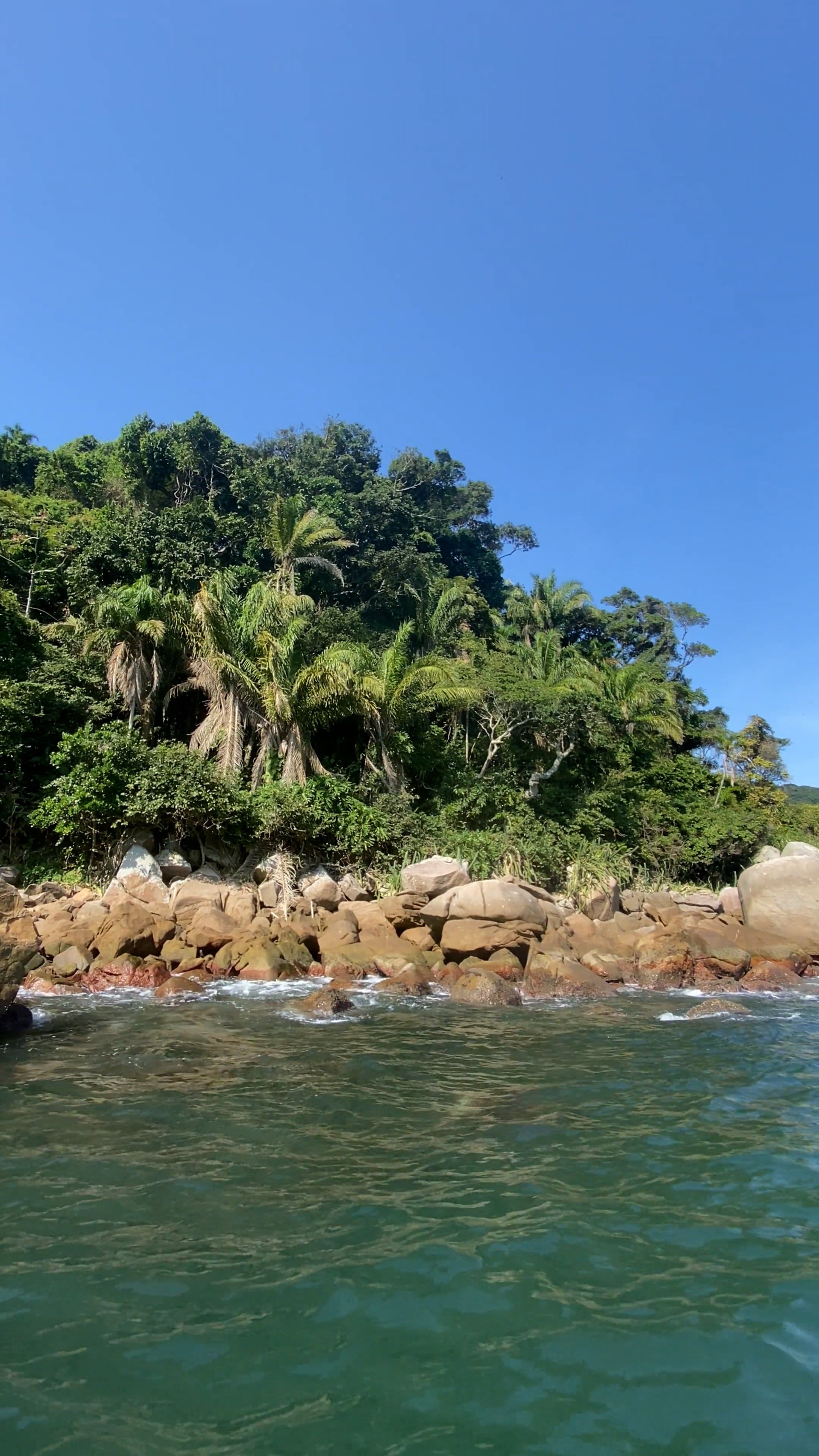 Kayak Plant Videos, Download The BEST Free 4k Stock Video Footage ...