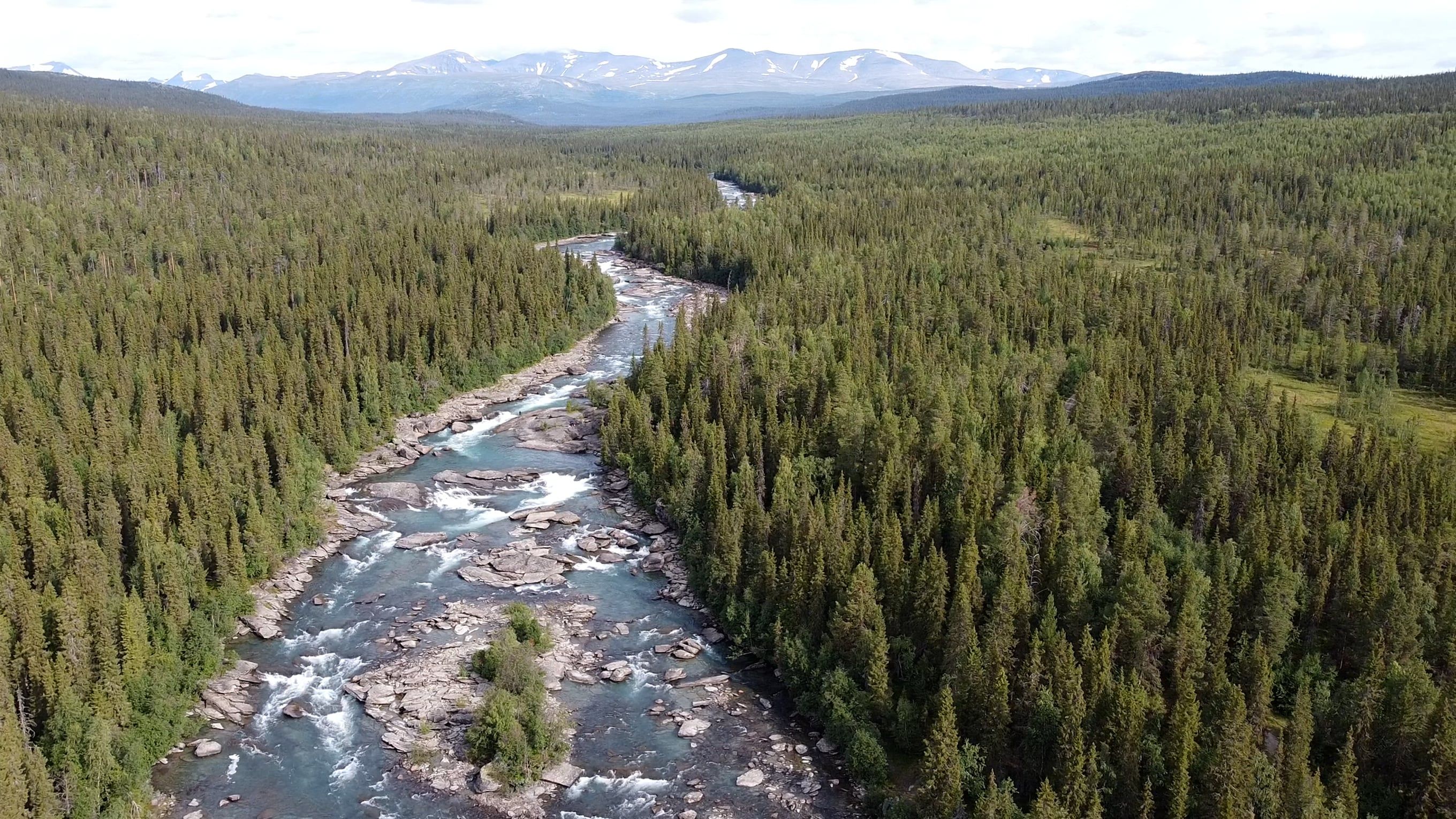 Drone Footage of a Flowing River Free Stock Video Footage, Royalty-Free ...
