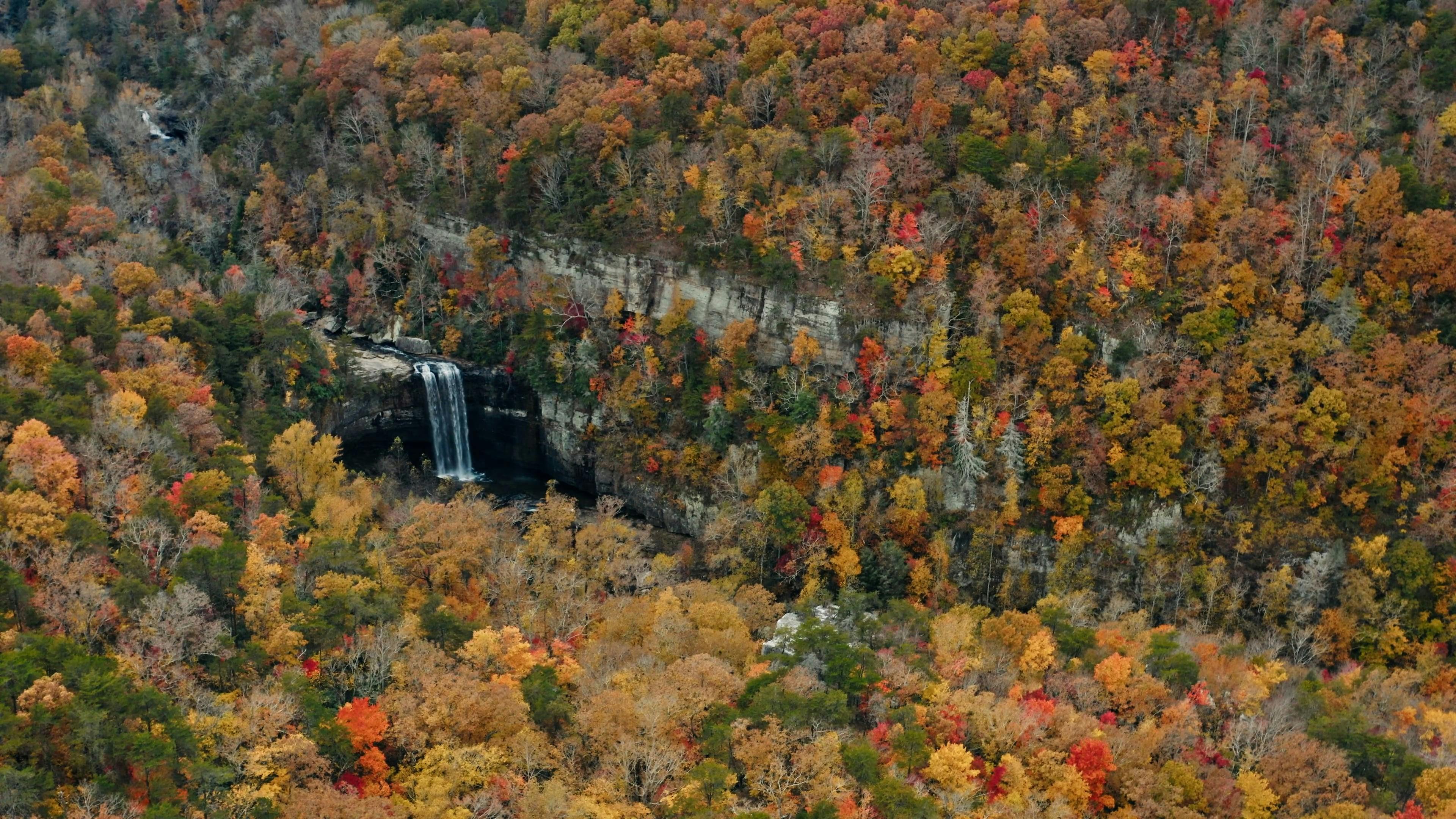 Changing Colors Of A Mountain Forest In Autumn · Free Stock Video