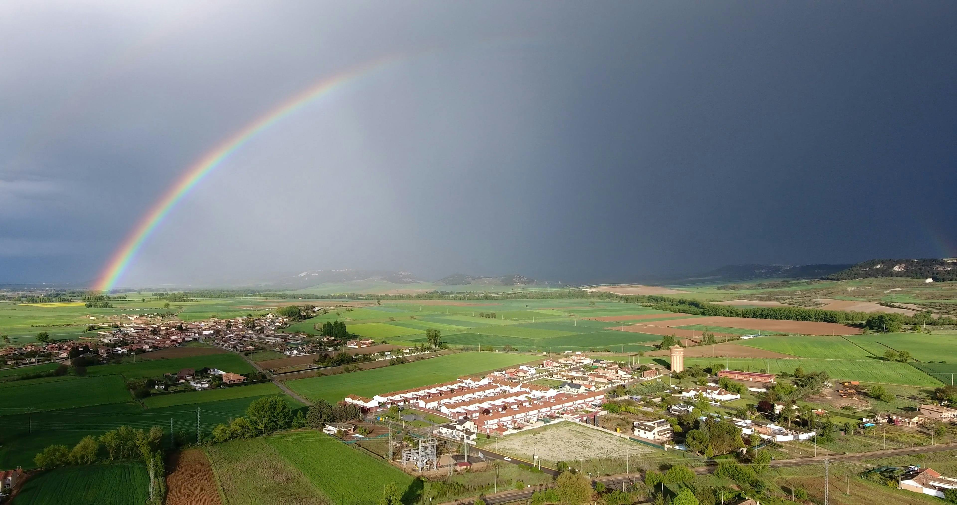 Two cows are grazing in a field with a rainbow Free Stock Video Footage ...