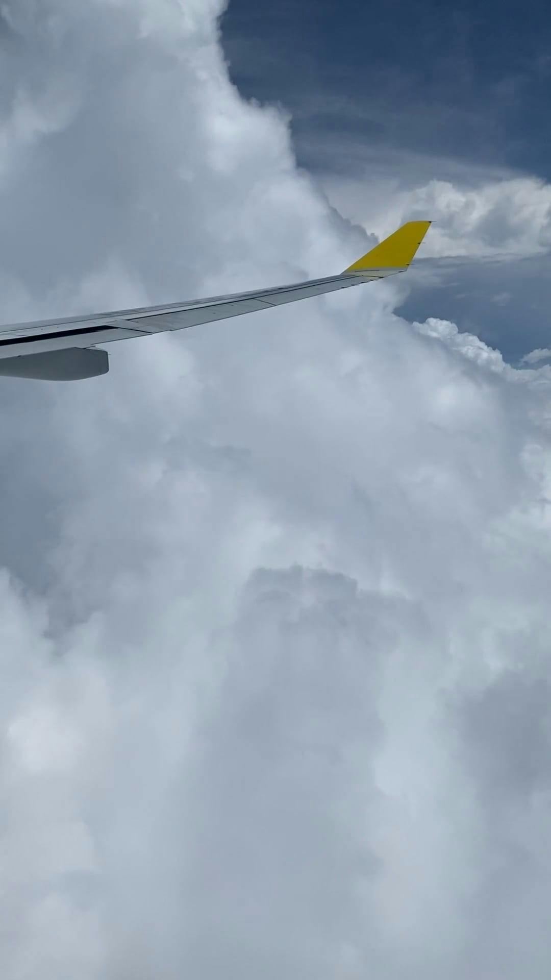 View from flying airplane at sunset Free Stock Video Footage, Royalty ...