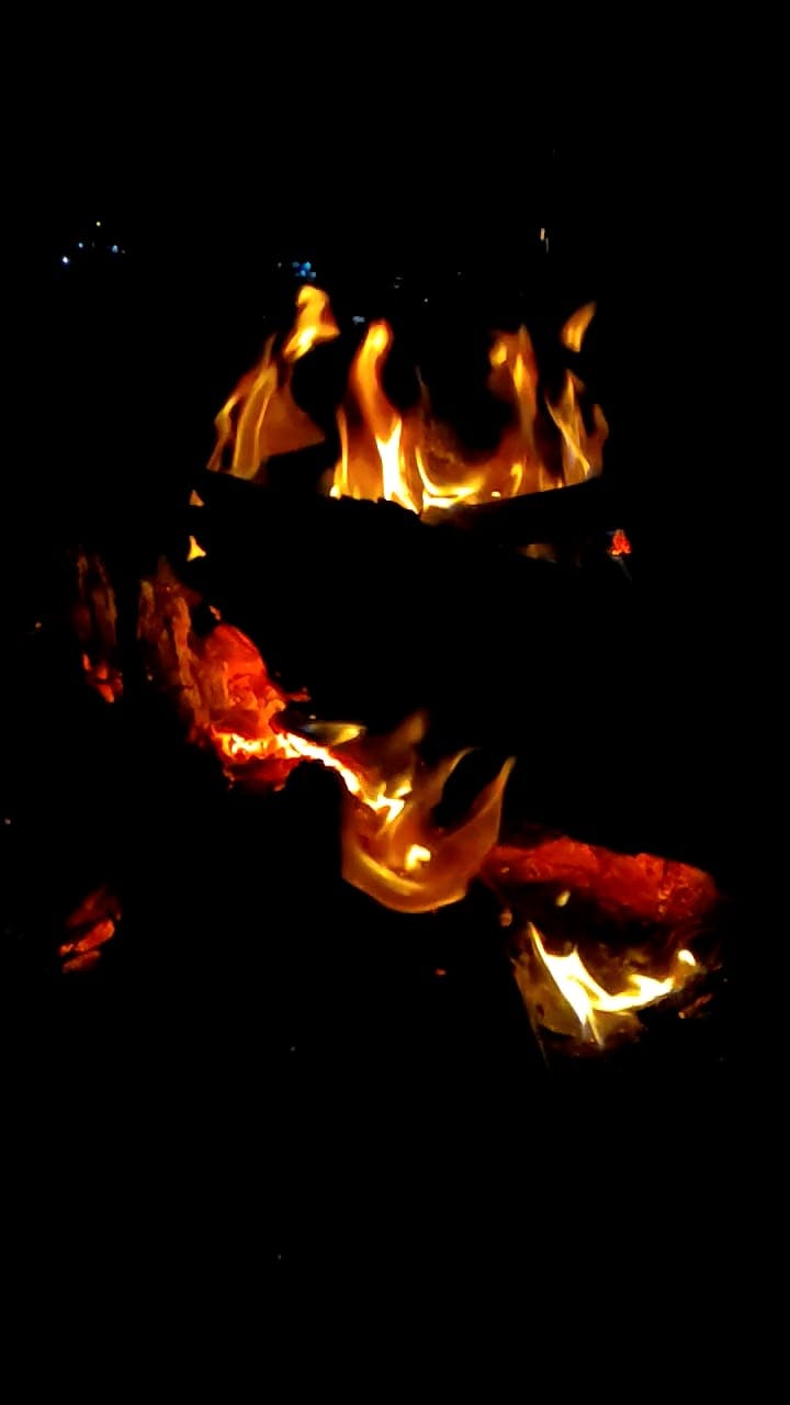 Night Campfire Free Stock Video Footage, Royalty-Free 4K & HD Video Clip