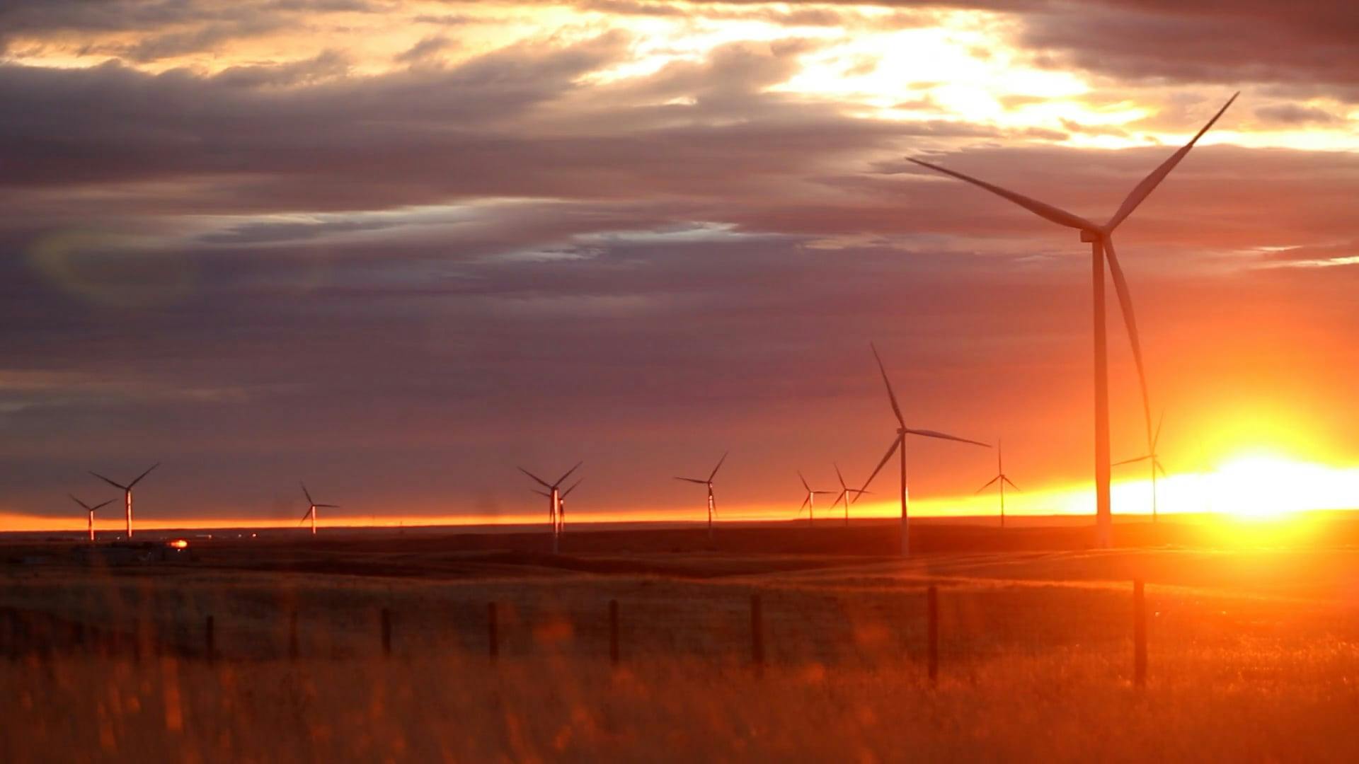 Wind Farm at Sunrise Free Stock Video Footage, Royalty-Free 4K & HD ...