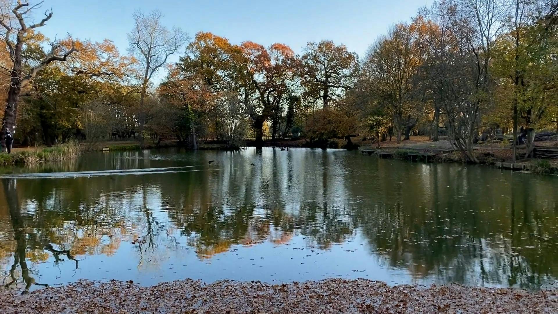 Ileana Bondor - Photography