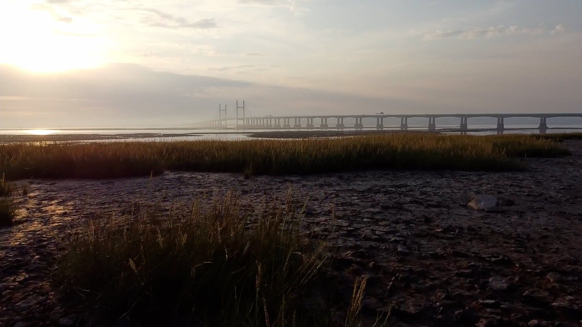 Sunlight over Muddy Beach Free Stock Video Footage, Royalty-Free 4K ...